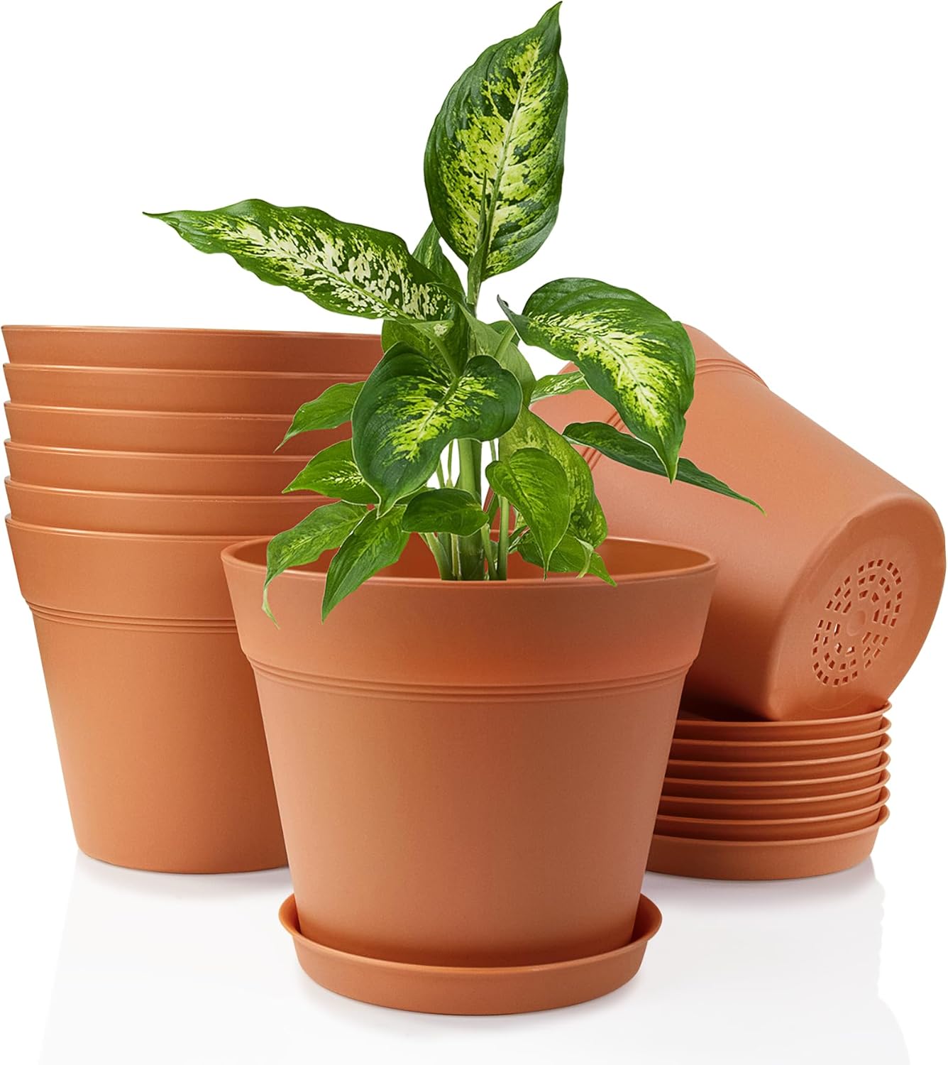 Amazon.com: Monoture 8Pack 6in Plant Pots with Drainage Holes and Tray ...