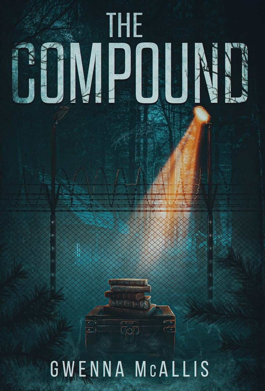 The Compound: Book One of The Compound Duology: McAllis, Gwenna ...