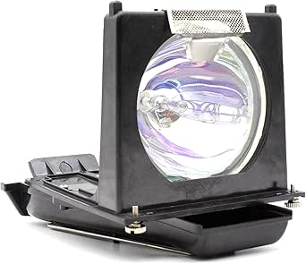 Amazon.com: Emazne OEM L2114A/L1736A Projector Lamp Original Bulb with ...