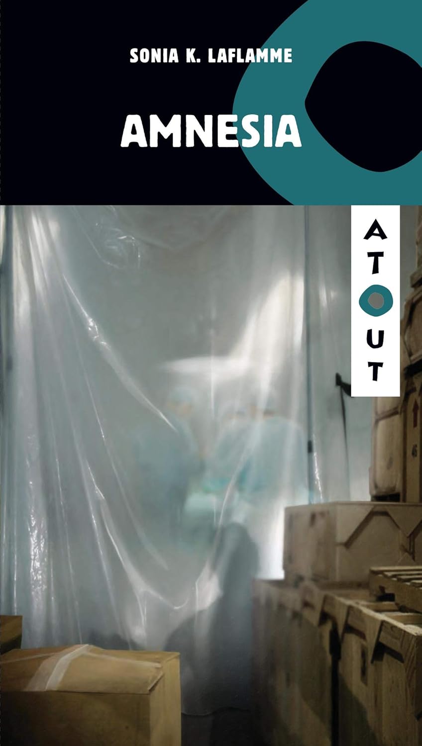 Amazon.com: Amnesia (French Edition) eBook : Laflamme, Sonia K.: Kindle ...