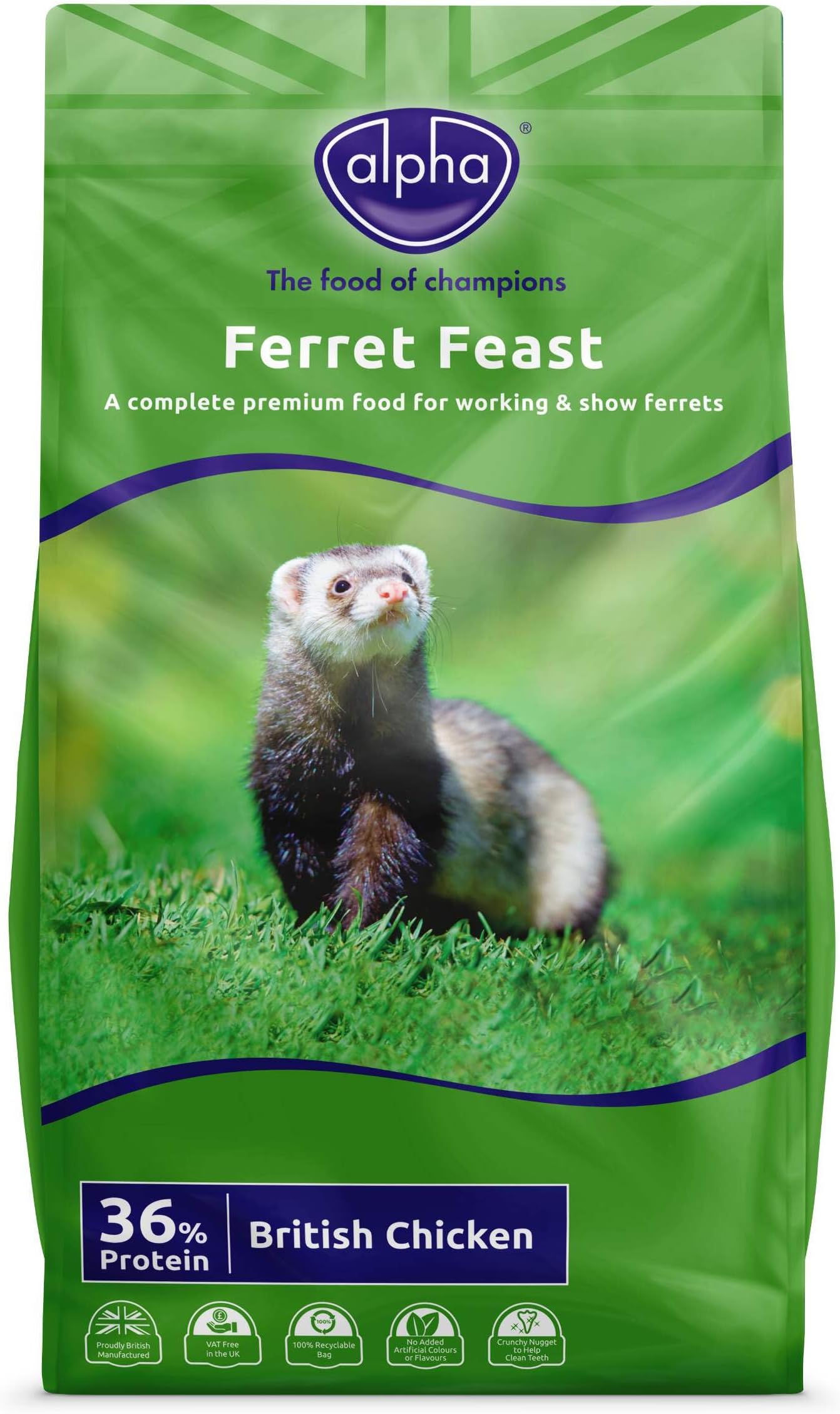 Alpha Ferret Feast Complete Dry Ferret Food Chicken and Fish, 10 kg ...