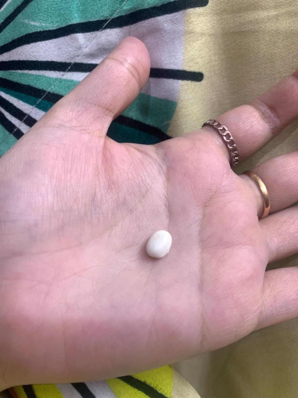 Veganic White Kidney Beans | Small Rajma | Cannellini bean | Safed ...