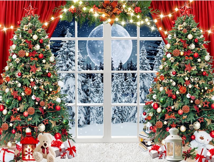 Amazon.com : CHAIYA 10X8FT Christmas Backdrop Christmas Window Backdrop ...