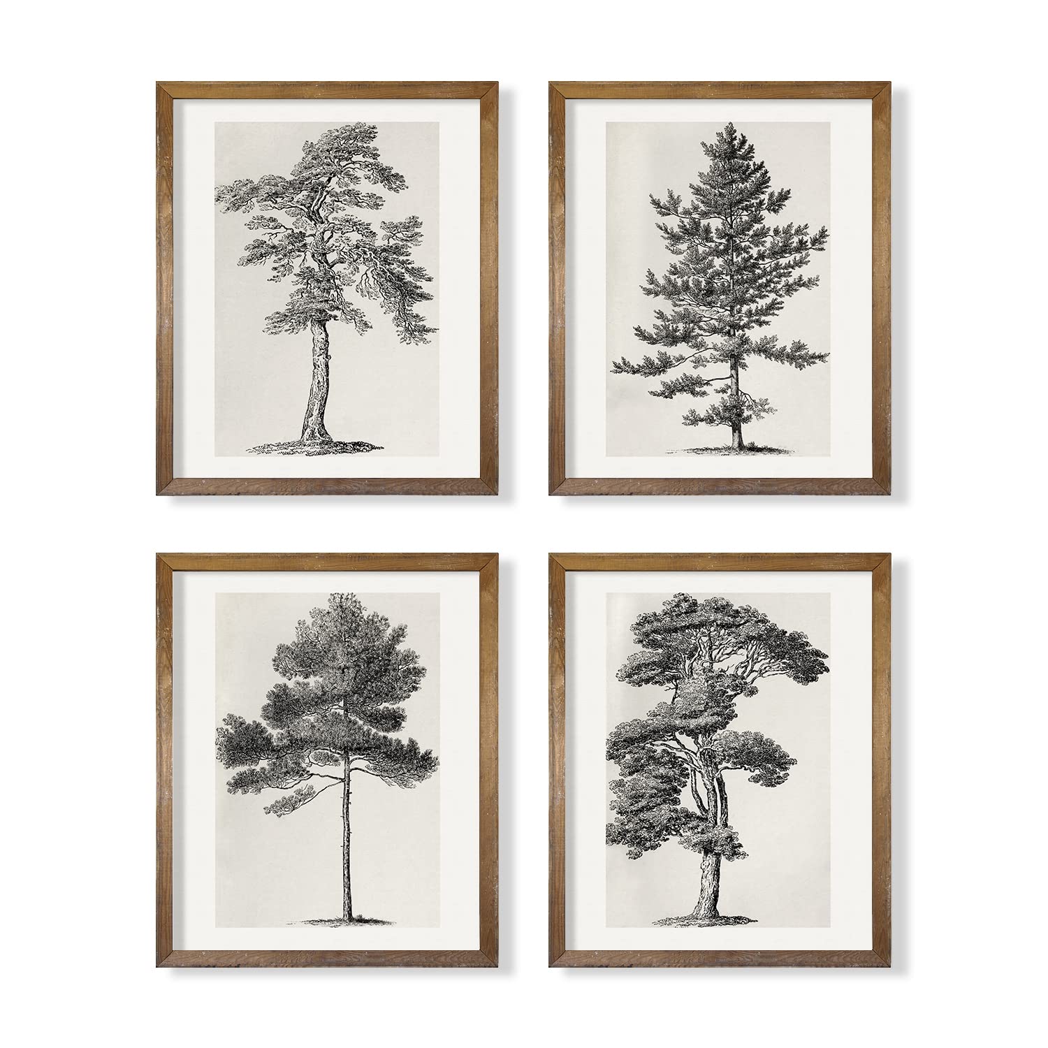 Amazon.com: Grey Neutral Forest Tree Sketch Drawing Etching - Modern ...