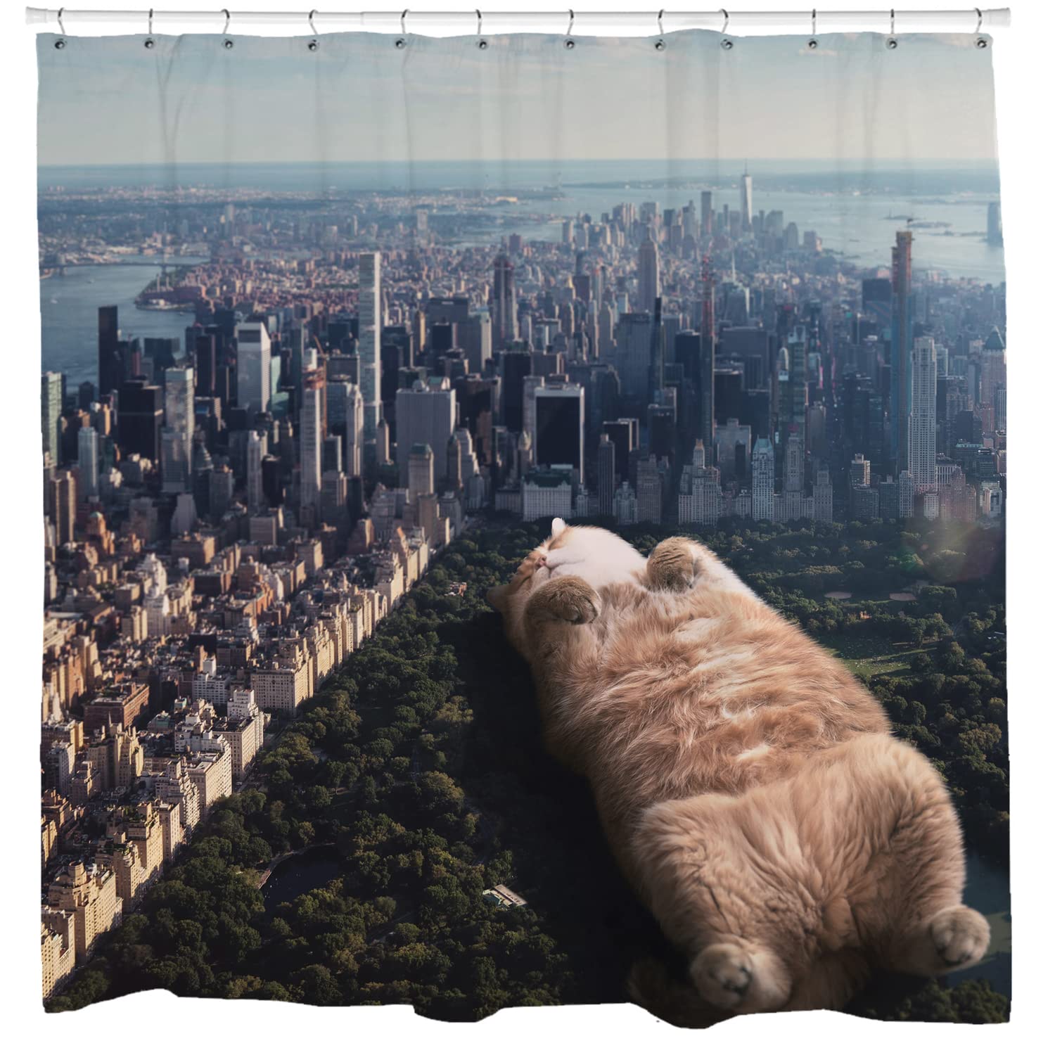 Sharp Memes One Sharp Corner And It's Done 💀 Credit: