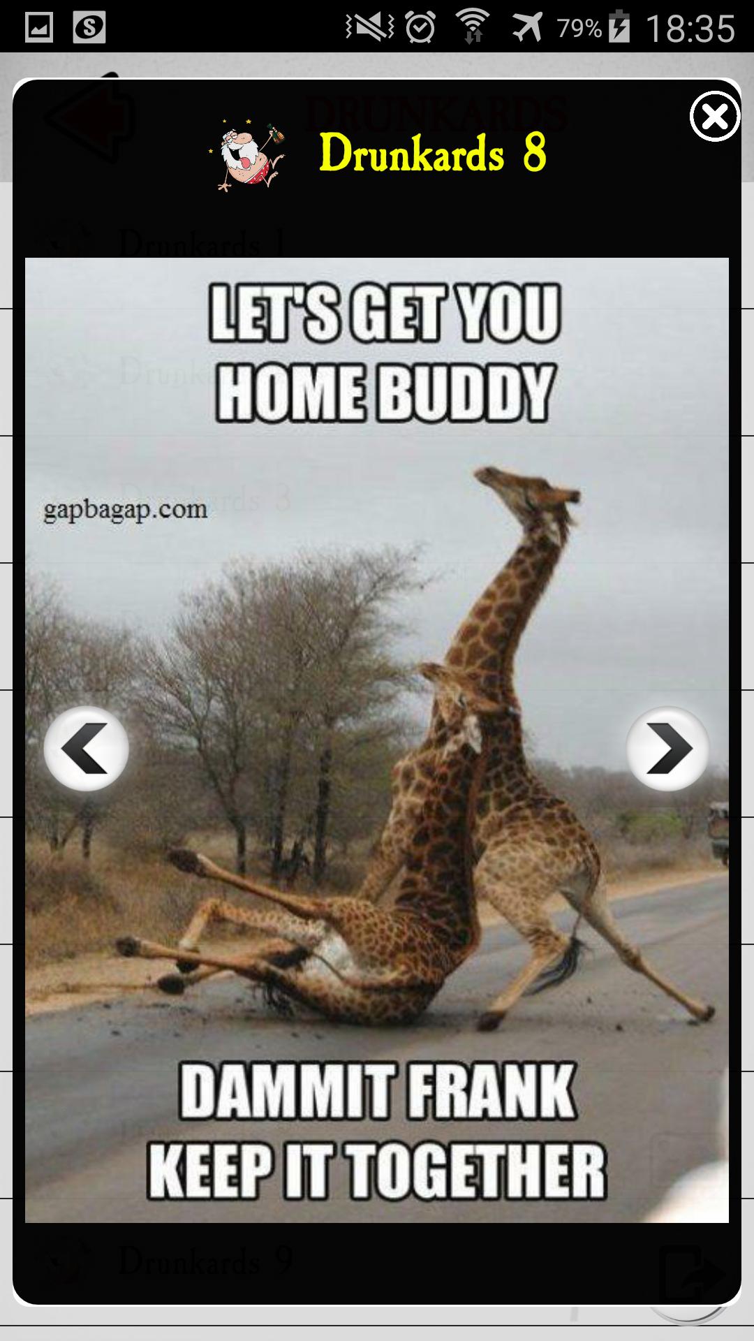 Drunk Giraffe Frank