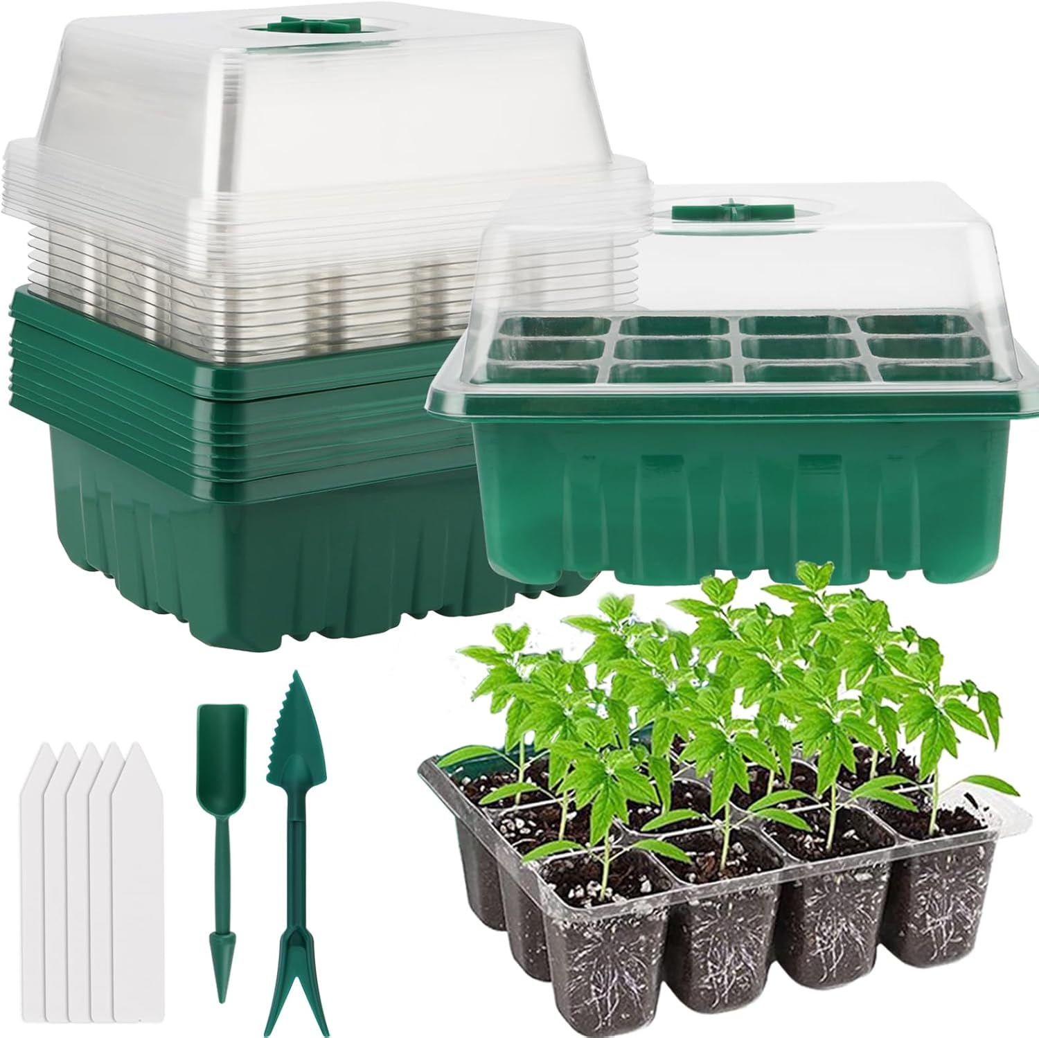 ZOENHOU 15 Pack 180 Cells Seed Propagator Trays, Propagator Seedling ...
