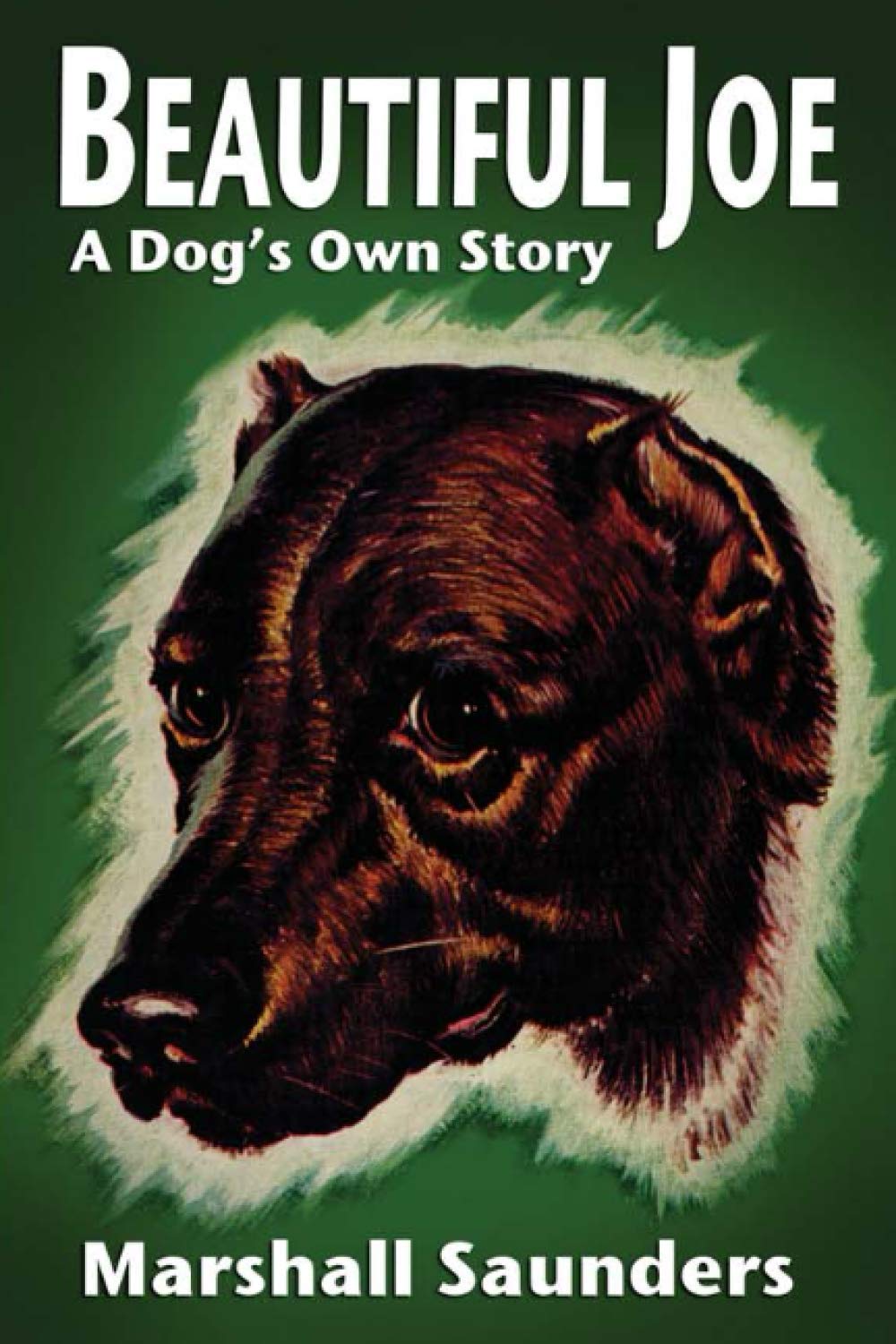 Beautiful Joe: A Dog's Own Story: Saunders, Marshall: 9781434407979 ...