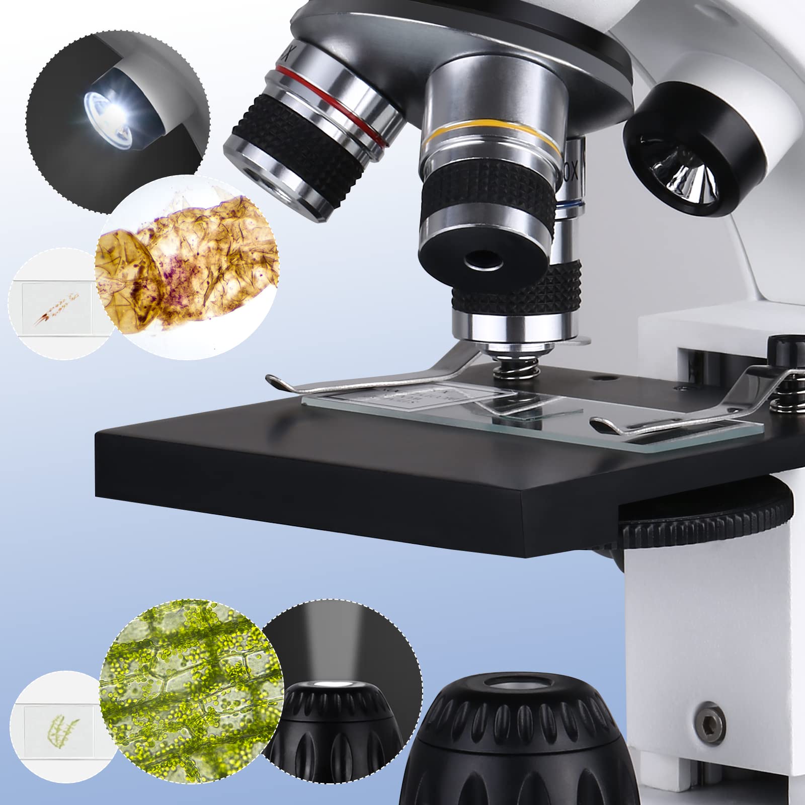 Microscopio Per Pidocchi