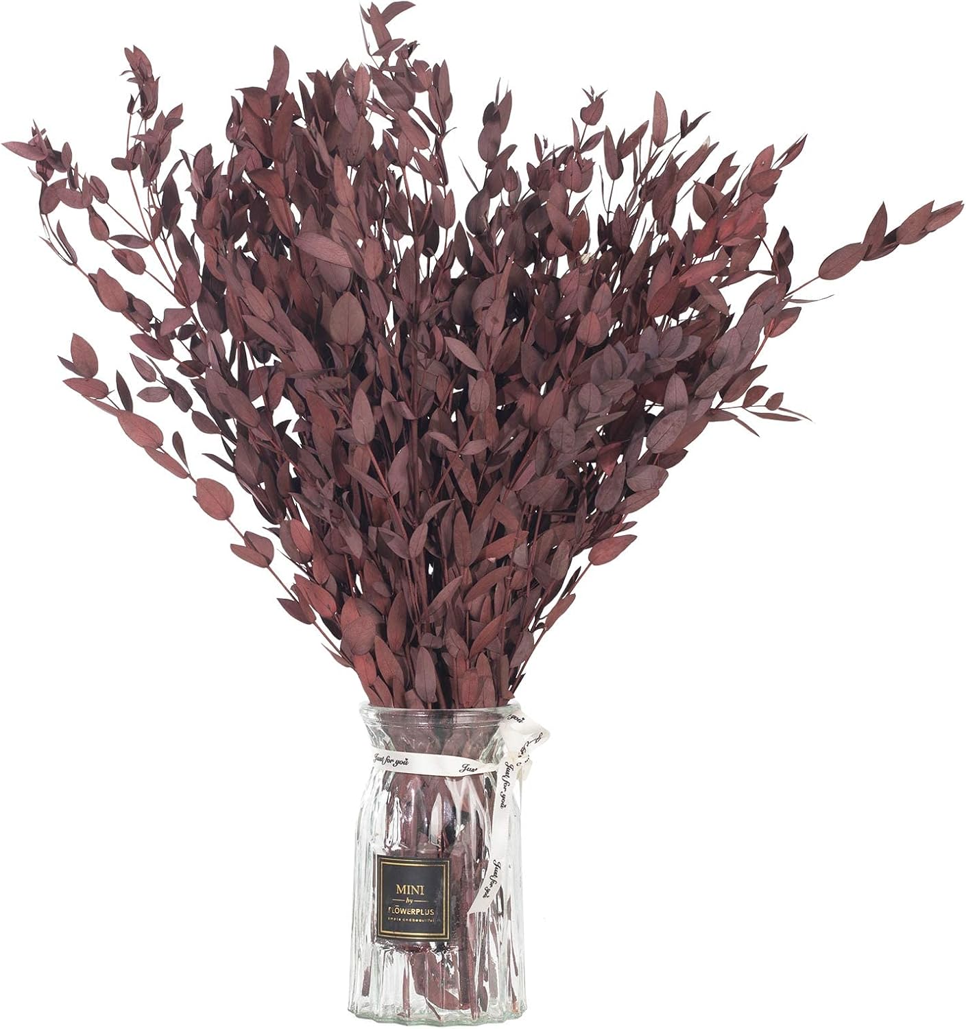 Amazon.com: Dried Eucalyptus Leaves Preserved Greenery Stems, 8-14 PCS ...