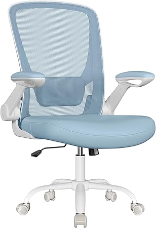 SONGMICS Office Desk Chair Mesh Swivel Chair Ergonomic Padded Lumbar ...