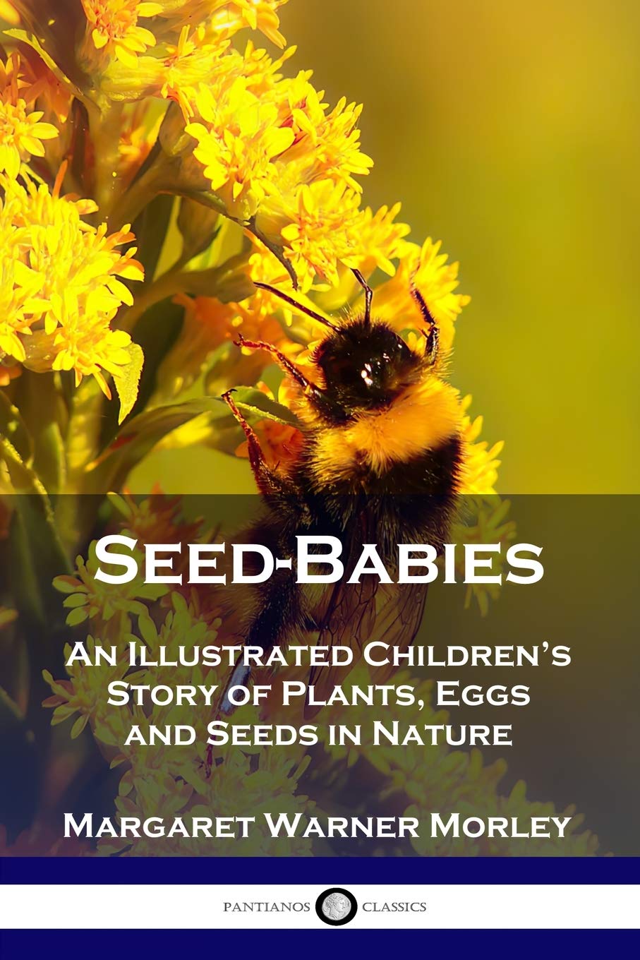 Seed-Babies: An Illustrated Children's Story of Plants, Eggs and Seeds ...