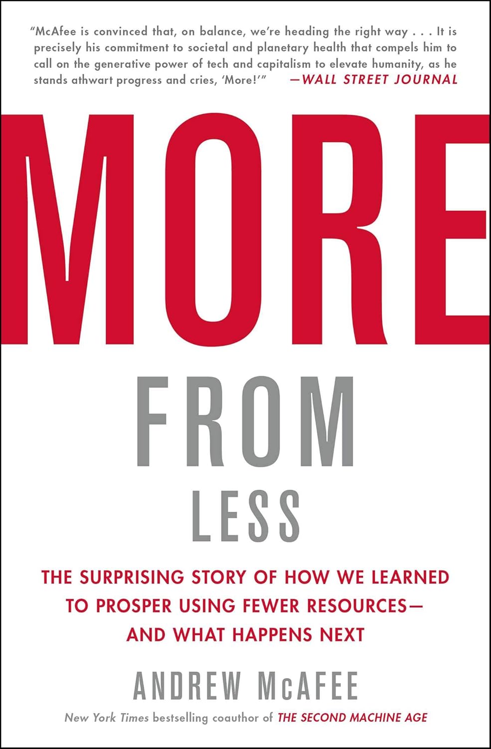Amazon.com: More from Less: The Surprising Story of How We Learned to ...