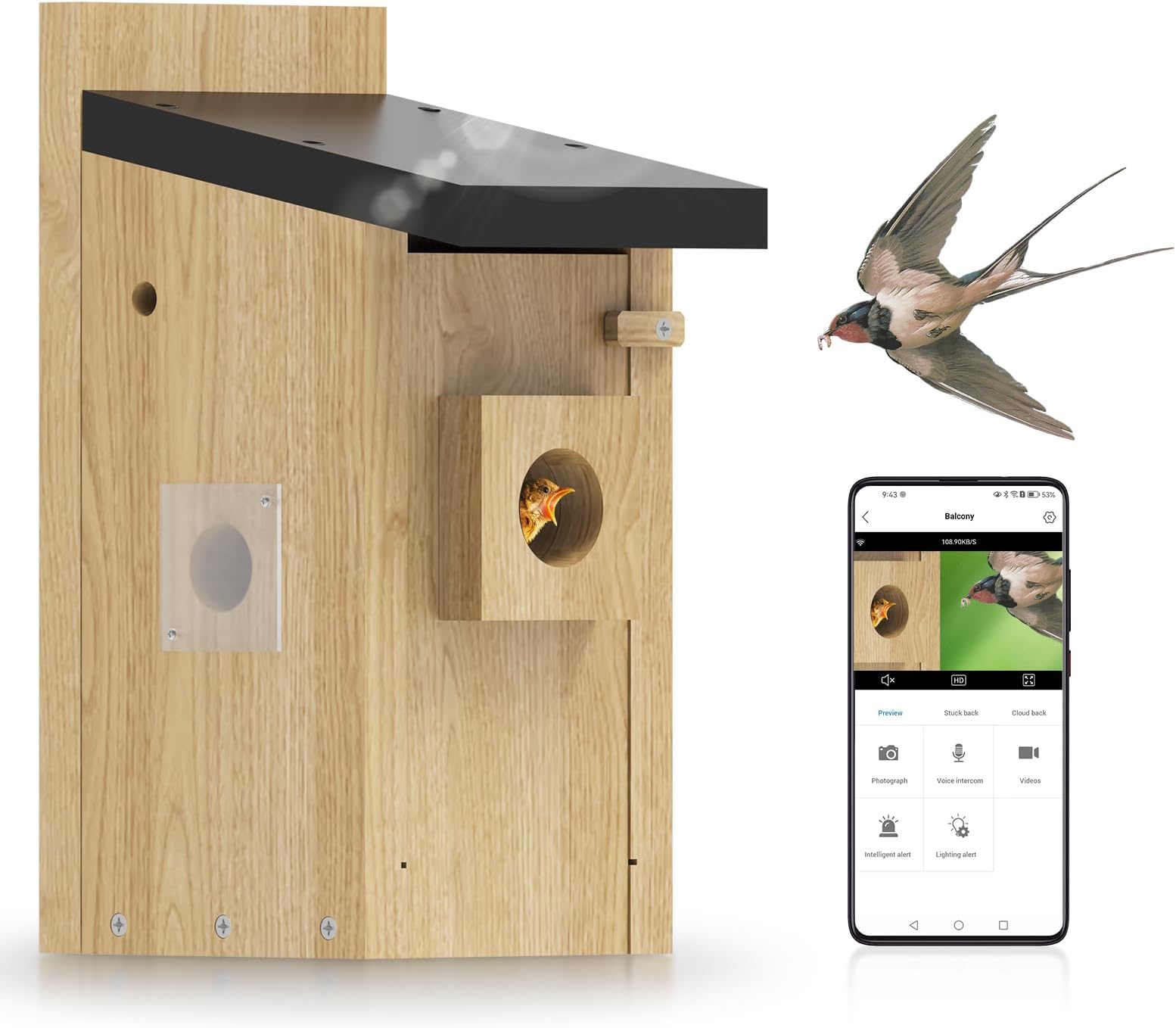 Amazon.com : BirdVistaCo Bird House with Camera, 1080P Camera with ...