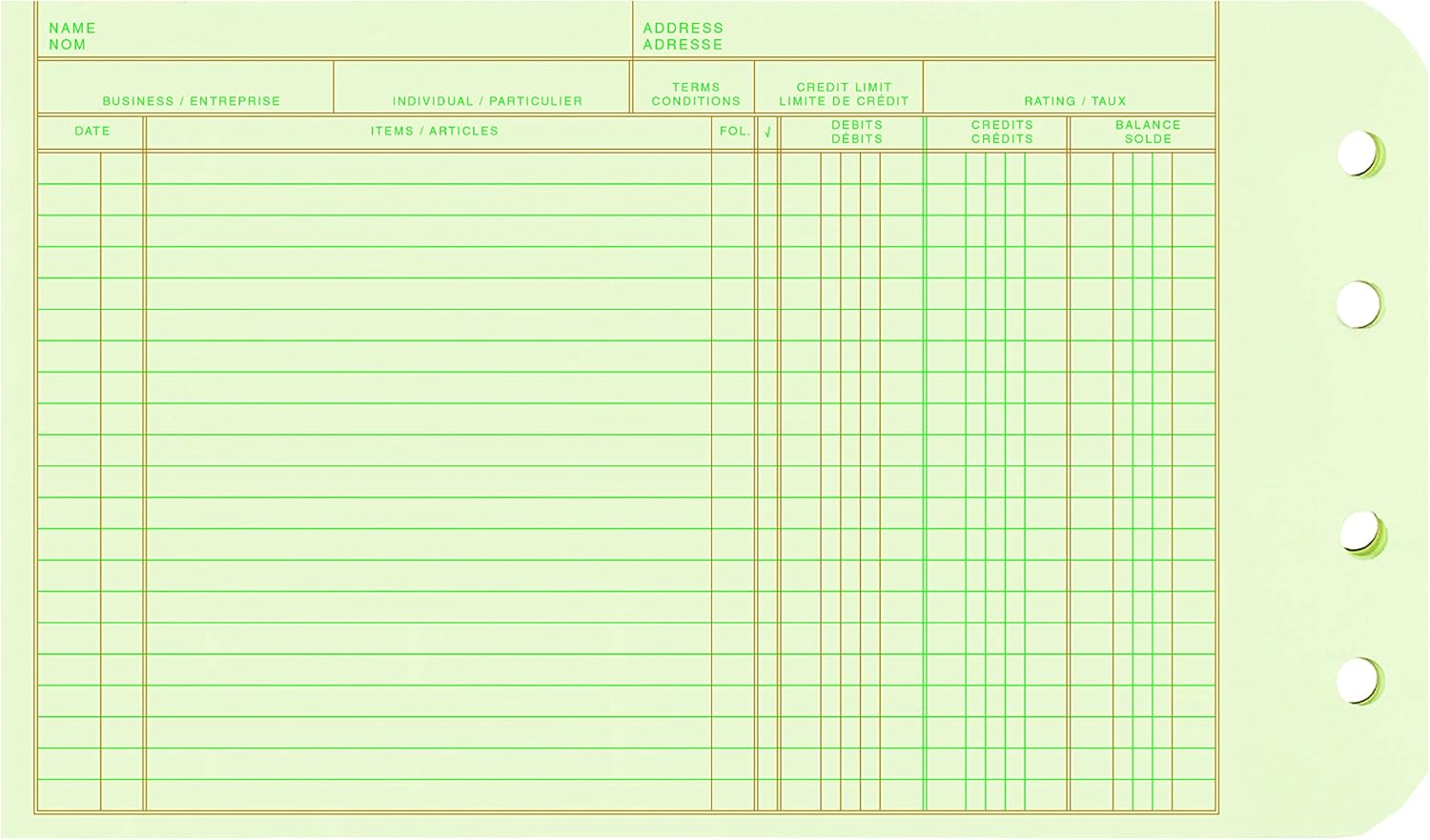 Blueline Mini-Ledger Sheets, Compatible with B055, Four-Hole Punched, 5 ...
