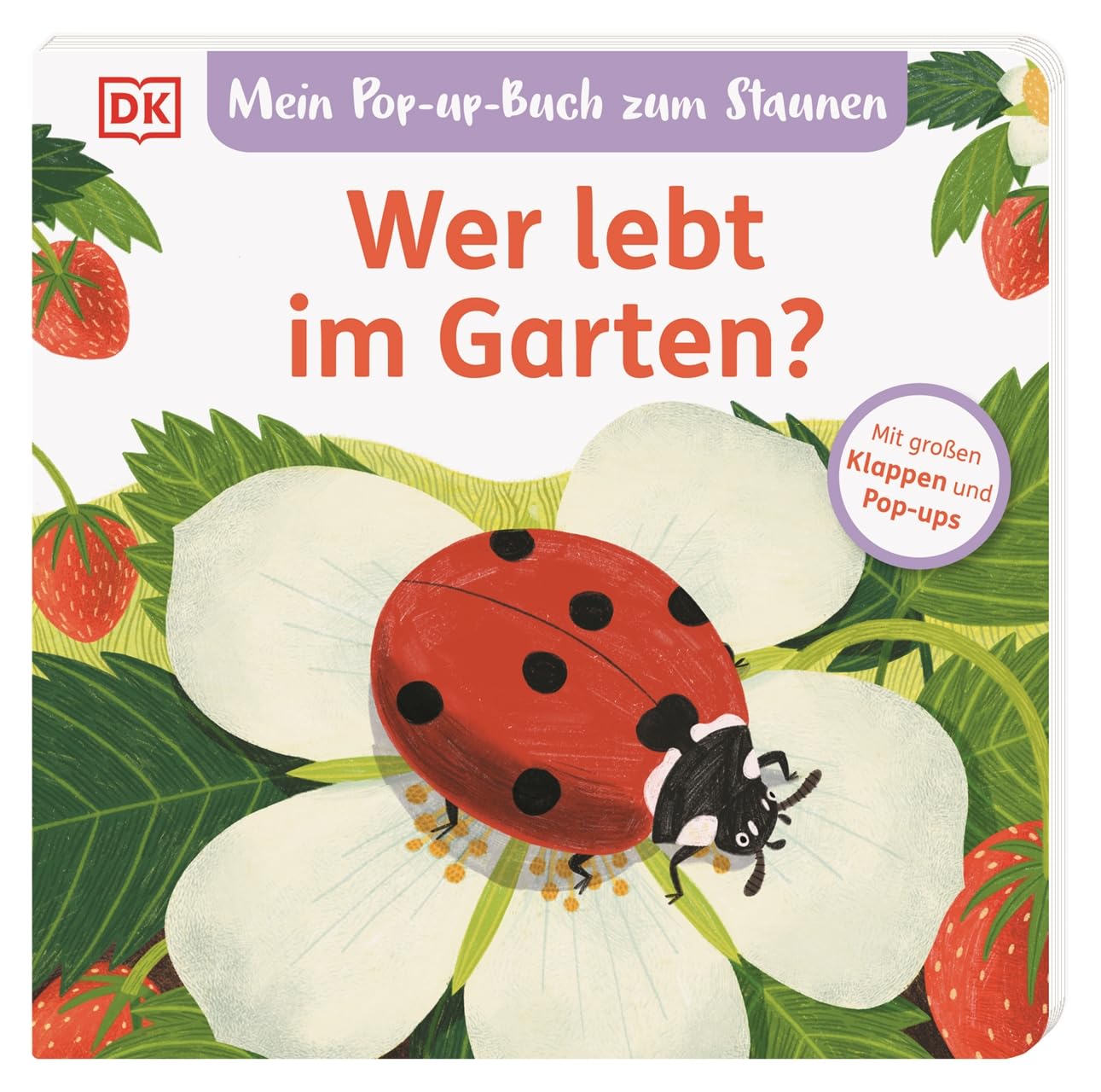 Mein Pop-up-Buch zum Staunen. Wer lebt im Garten?: Natur-Bilderbuch mit ...