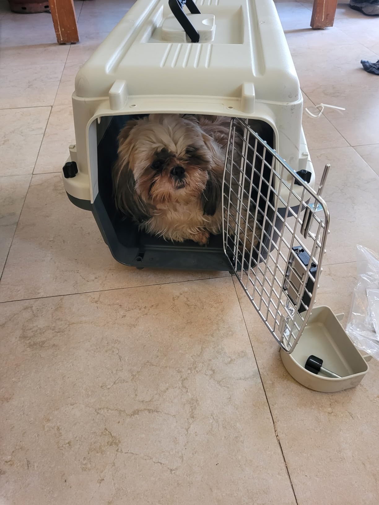 Smart Pups IATA Approved Plastic Flight Cage for Pets, Dog Flight Cage ...