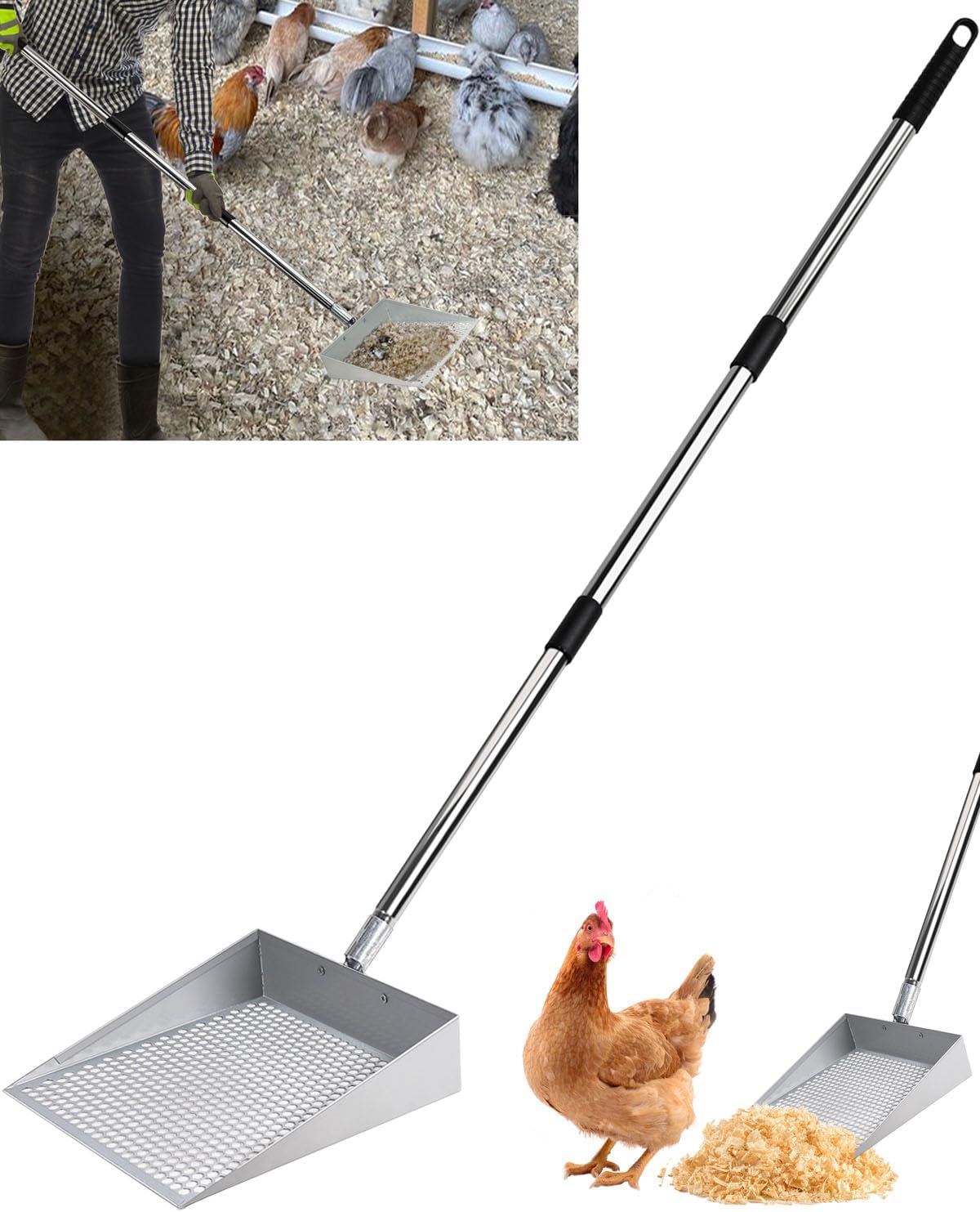 Amazon.com : Large Chicken Poop Scooper, Chicken Coop Accessories,Metal ...