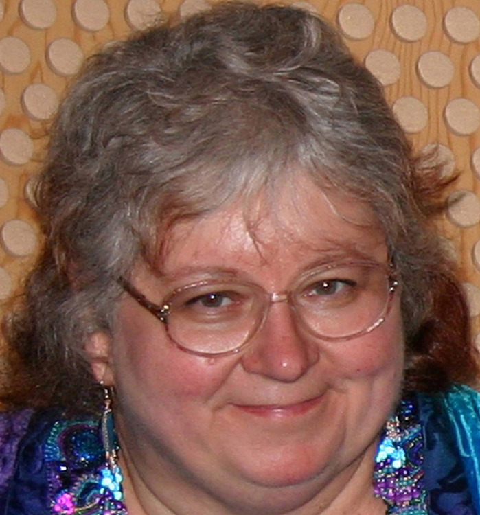 Amazon.com.br: Elizabeth Ann Scarborough: livros, biografia, última ...