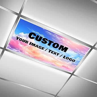 MSINMKOK Custom Fluorescent Light Covers for Ceiling Lights Classroom ...