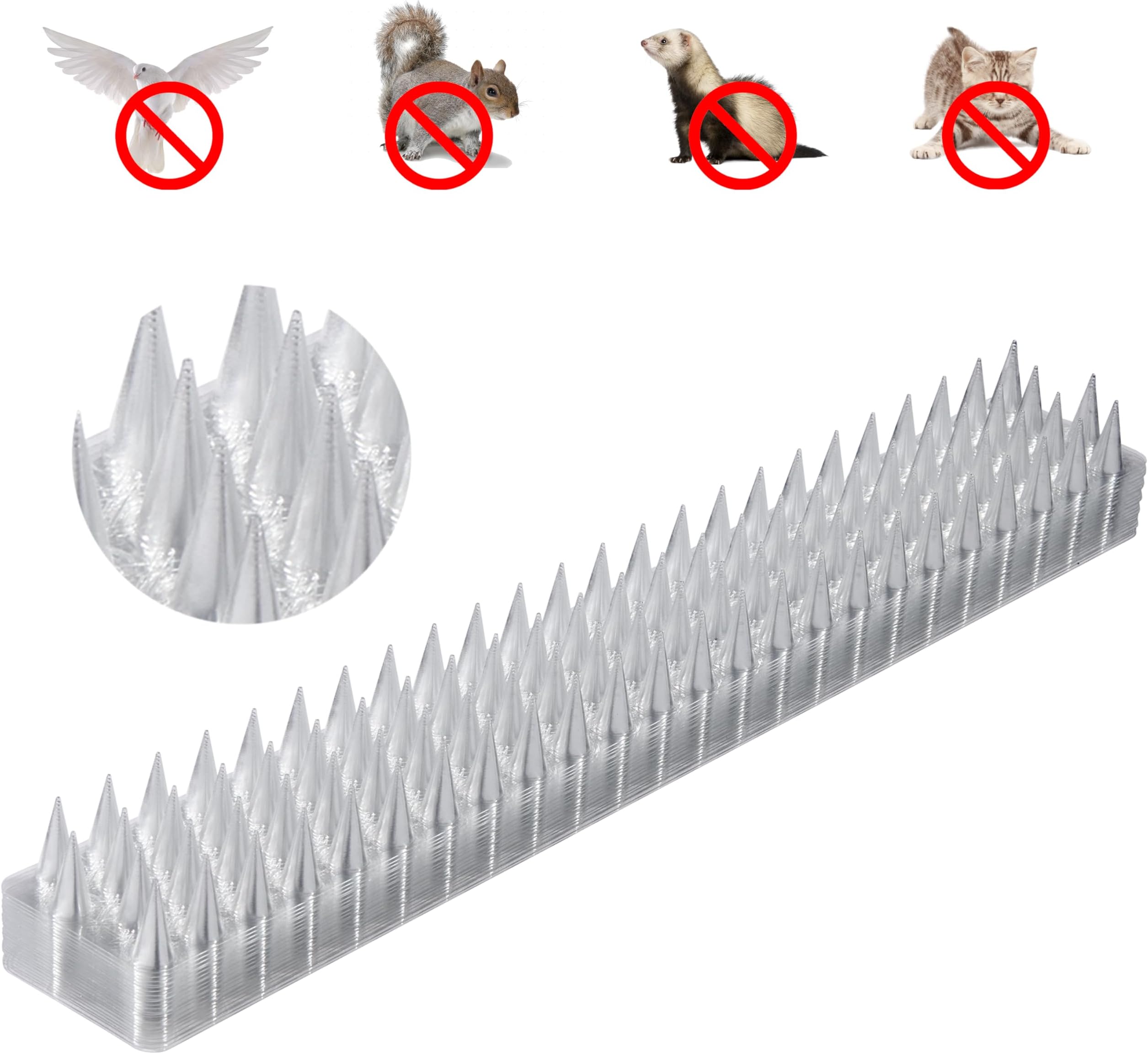 Amazon.com: BYTEBAY 24-Pack Transparent Plastic Bird and Squirrel ...
