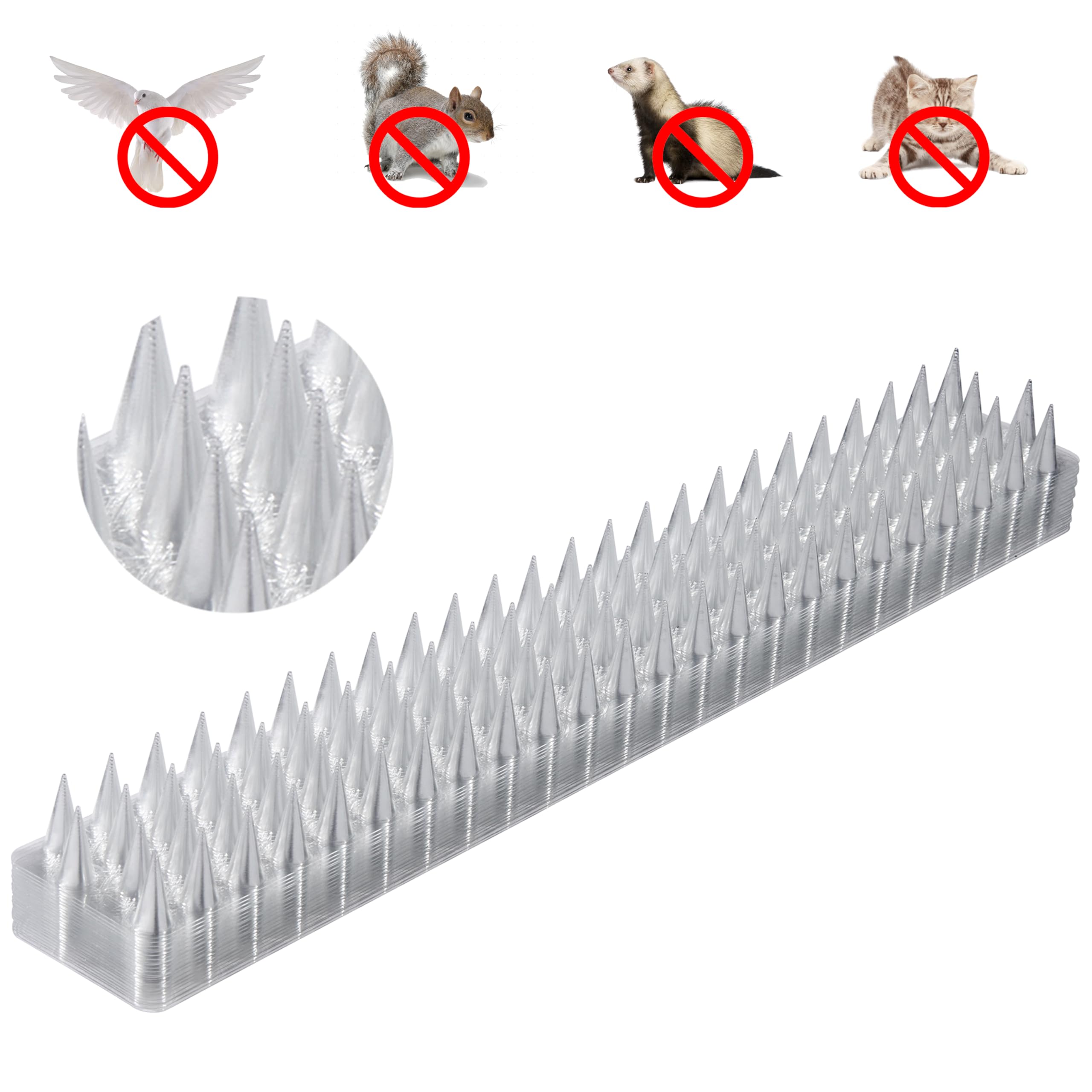 Amazon.com: BYTEBAY 24-Pack Transparent Plastic Bird and Squirrel ...