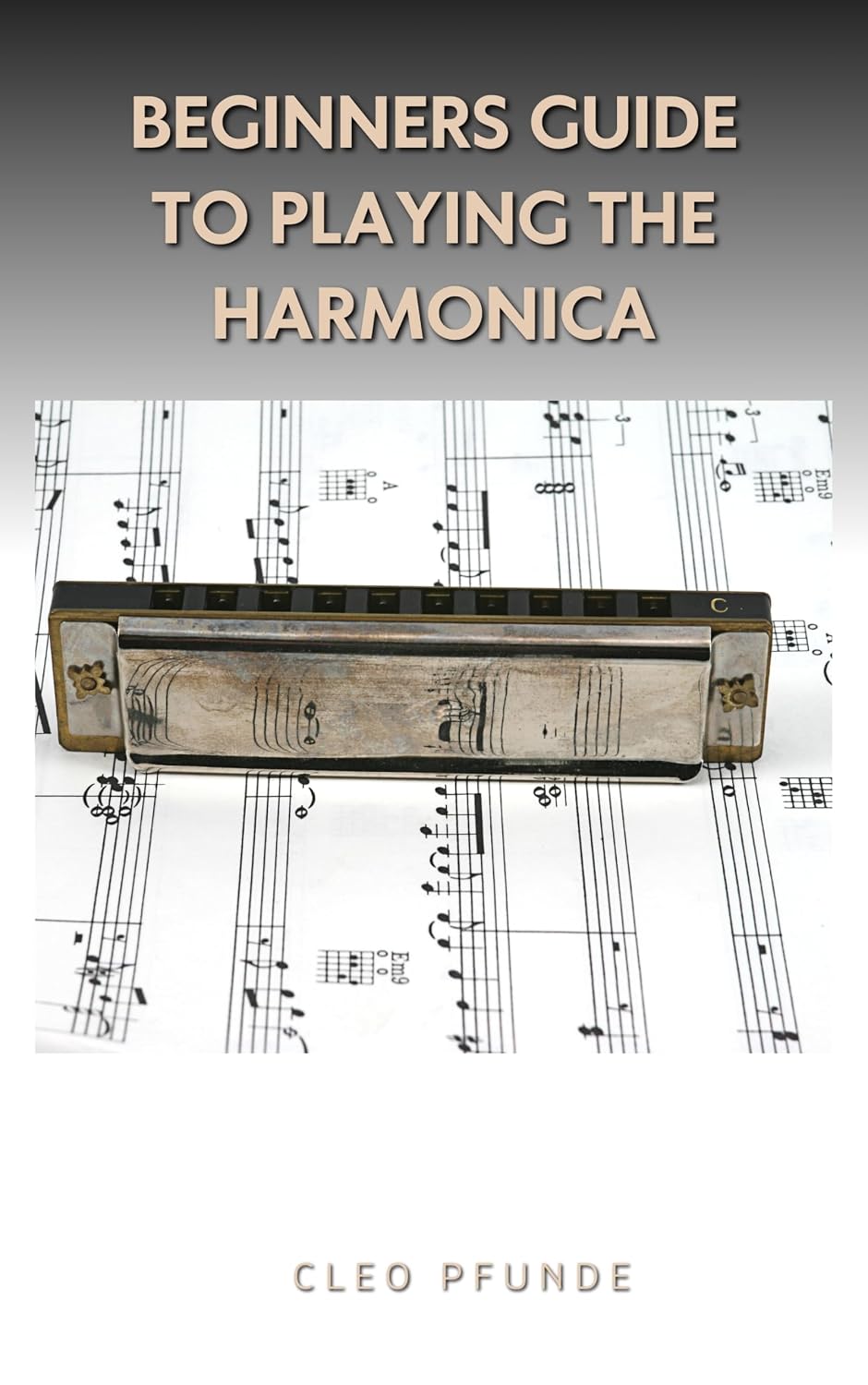 Amazon.com: The Beginner's Guide to Harmonica: Unlocking Your Musical ...