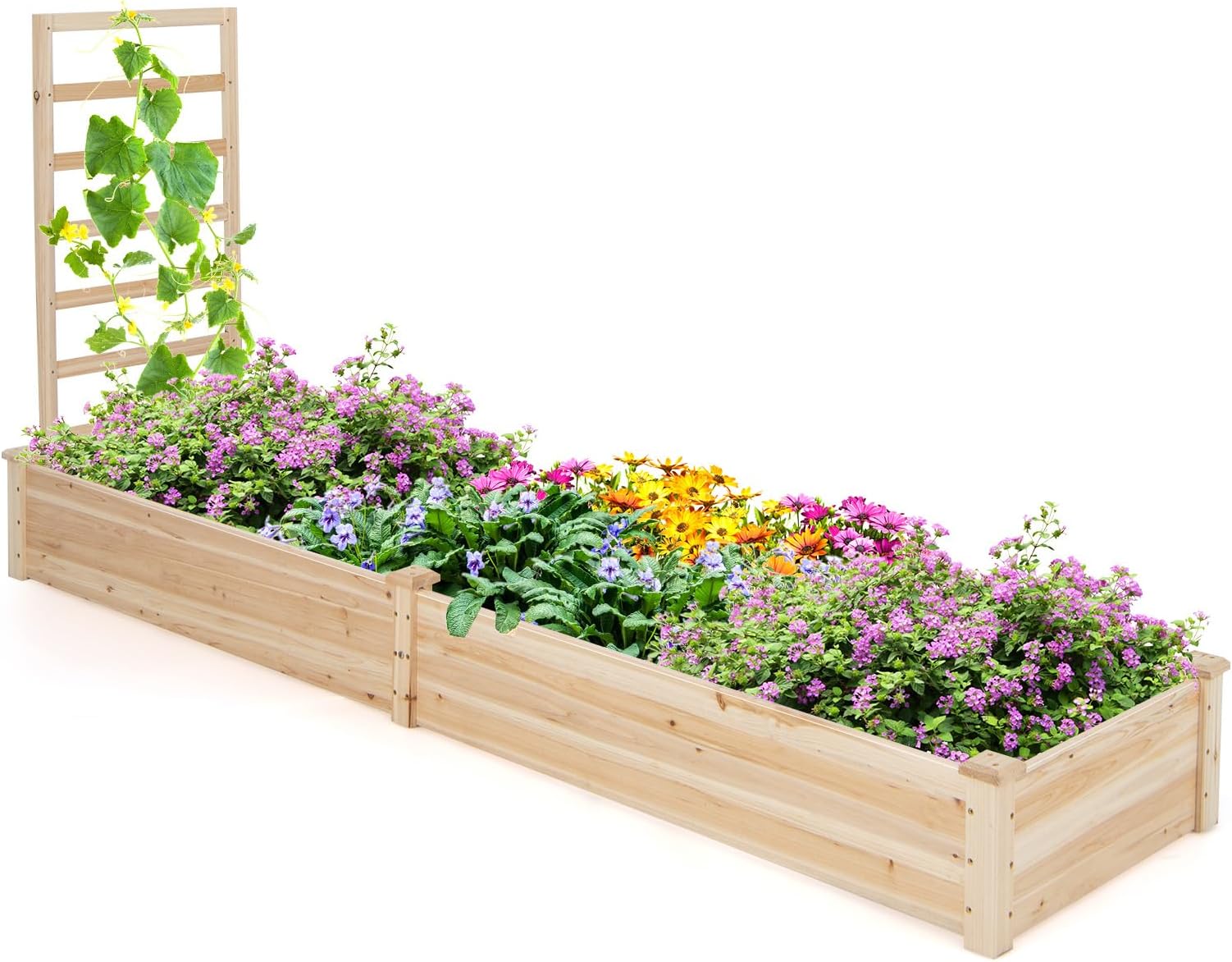 Amazon.com: Giantex Raised Garden Bed with 2-Sided Trellis & Hanging ...