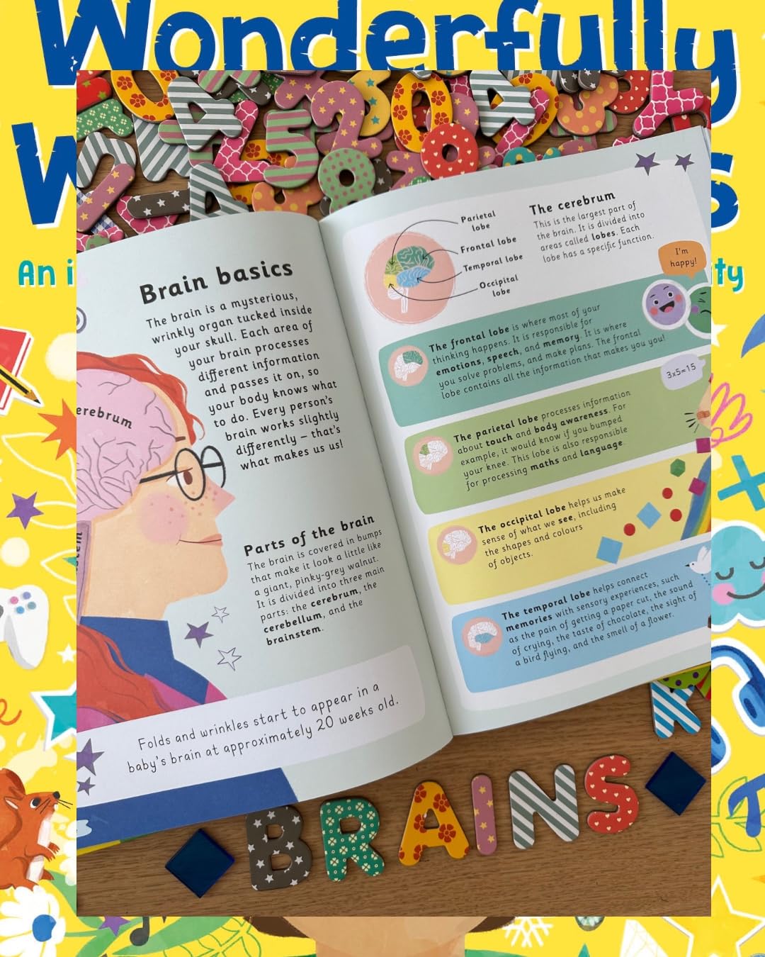 Wonderfully Wired Brains: An Introduction to the World of ...