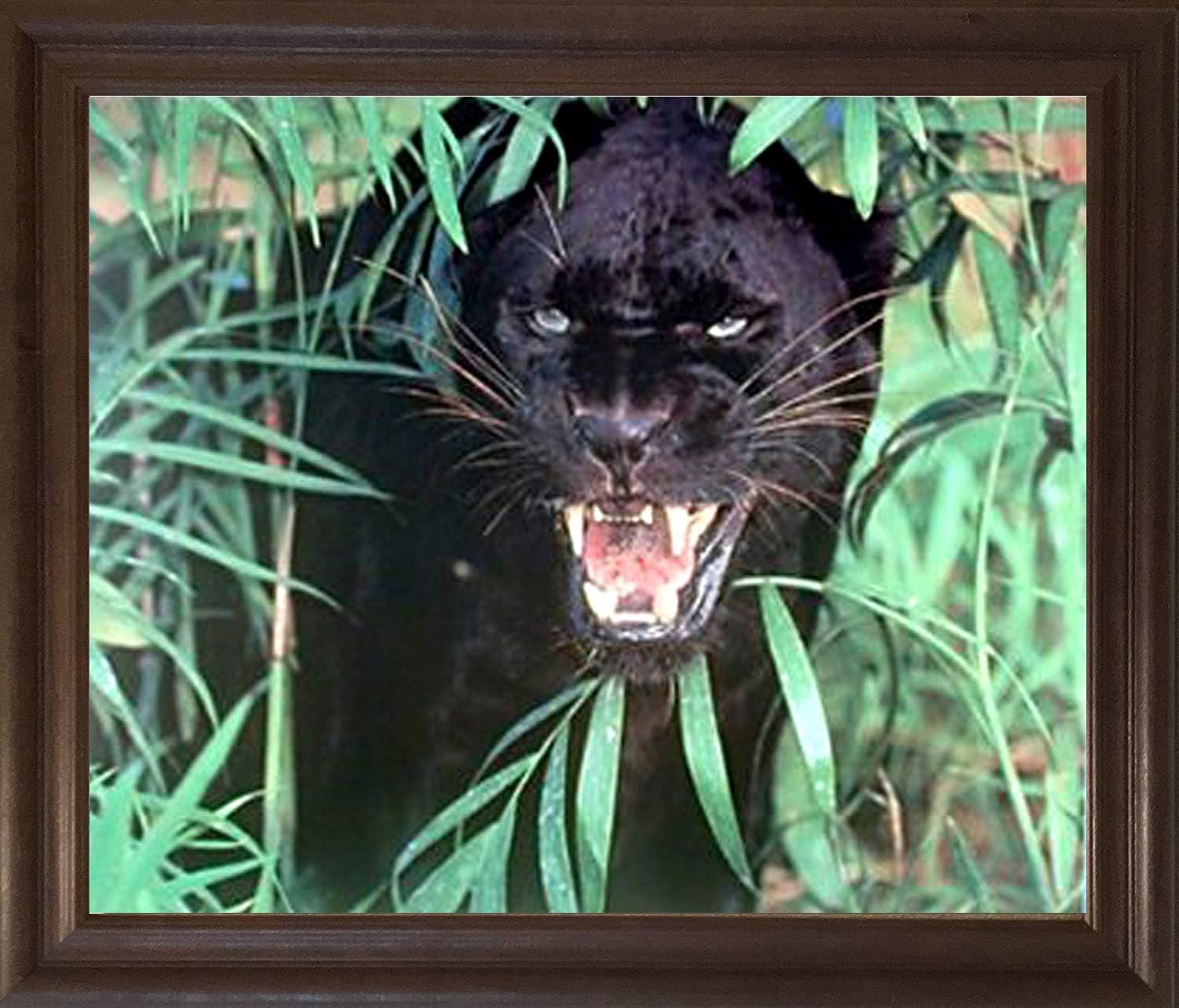 Amazon.com: Framed Wall Picture Decor Black Panther (Jaguar, Big Cat ...