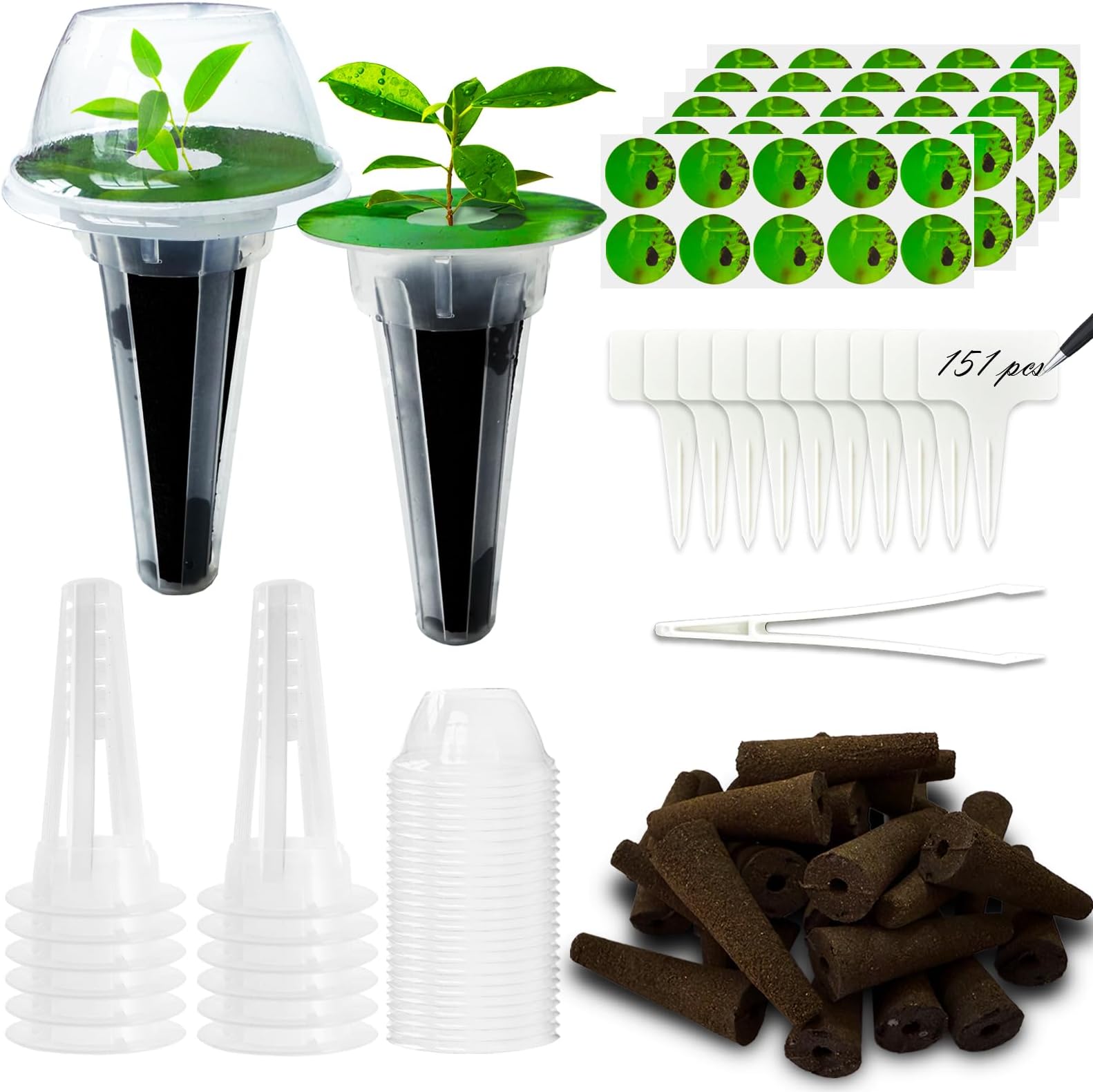 Amazon.com : 12 Pods Hydroponics Growing System, Herb Garden Indoor ...