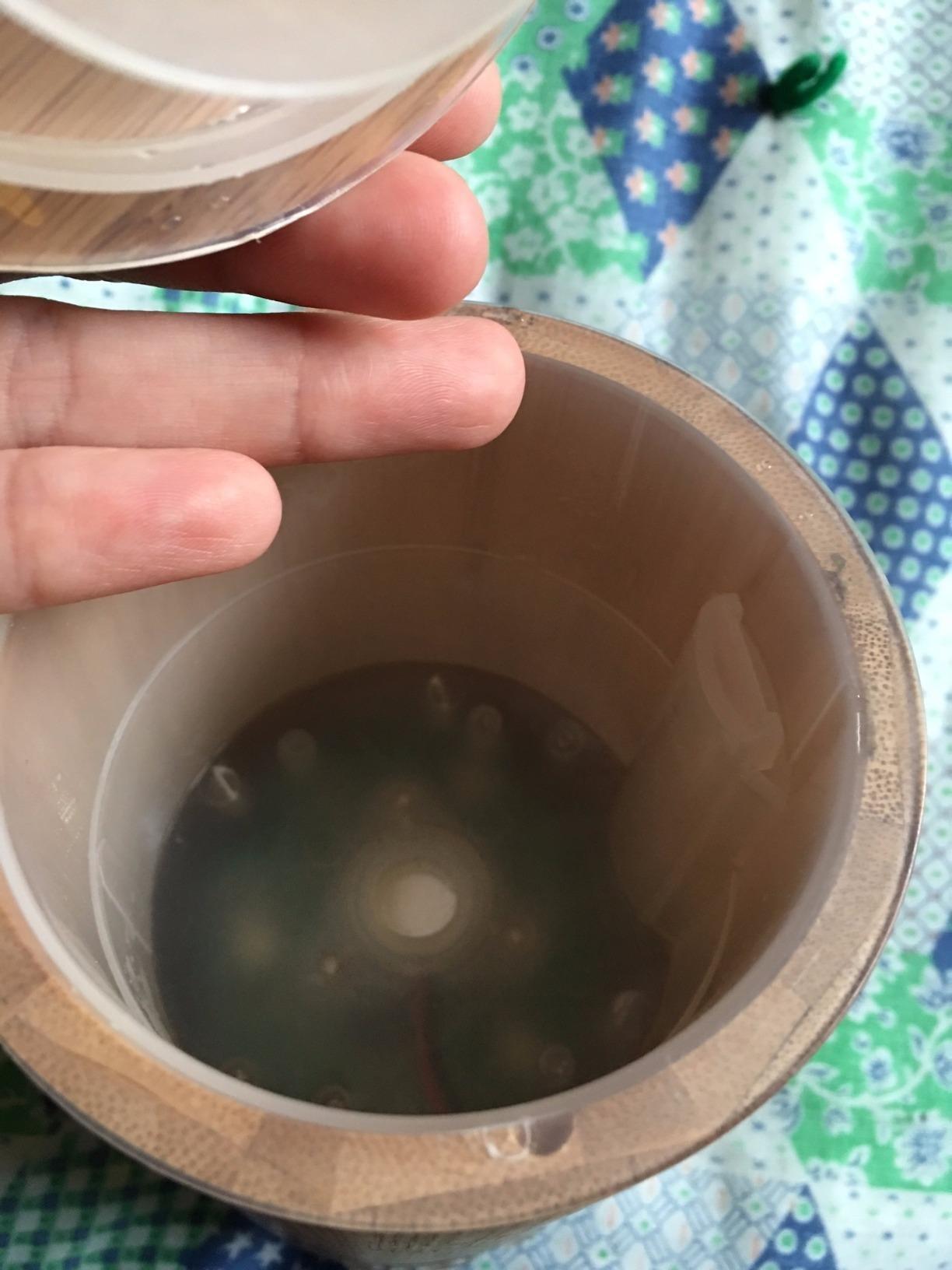 Amazon.com: NOW Essential Oils, Ultrasonic Real Bamboo Aromatherapy Oil ...