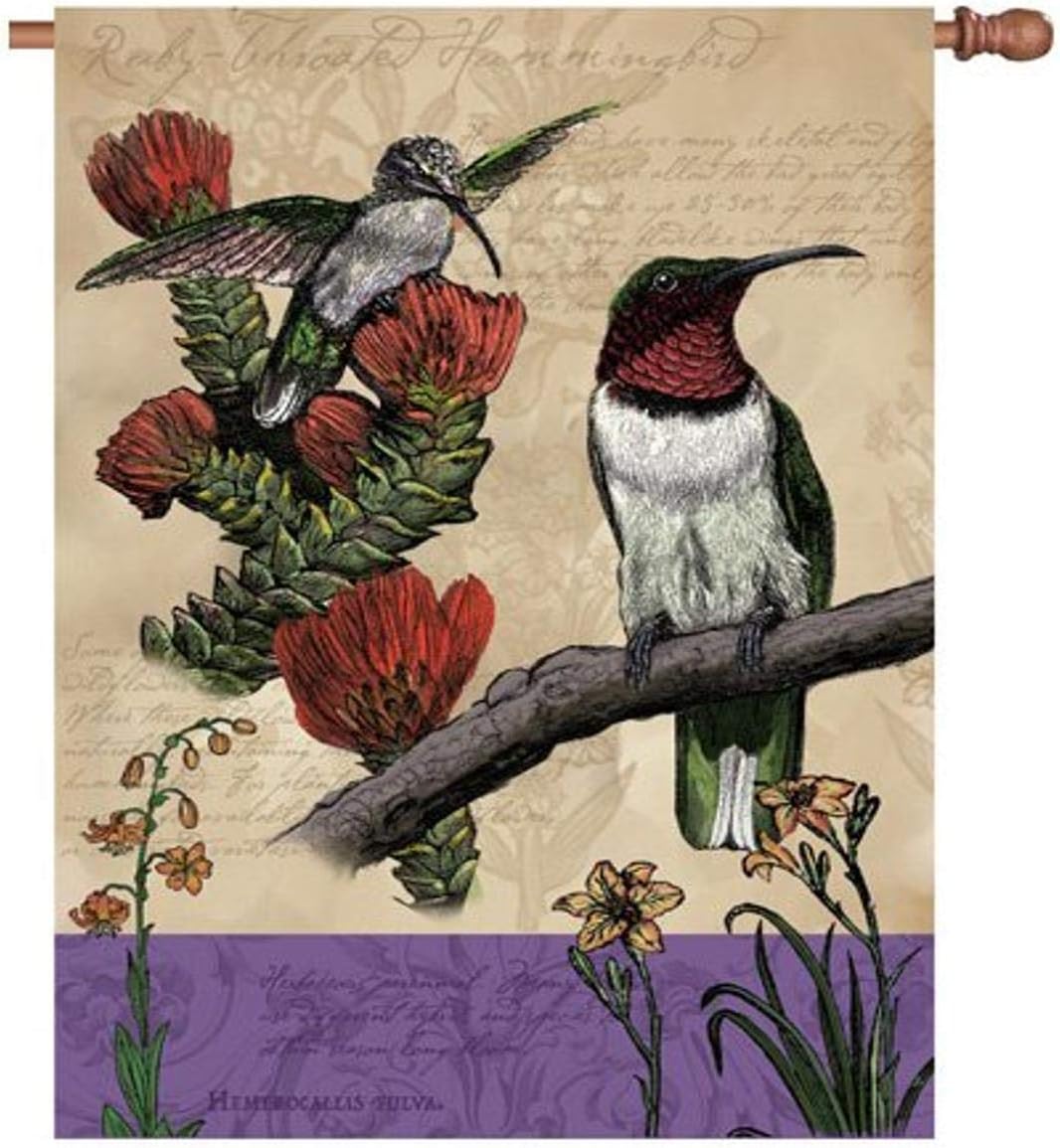 Amazon.com : Premier 52933 House Illuminated Flag, All About ...