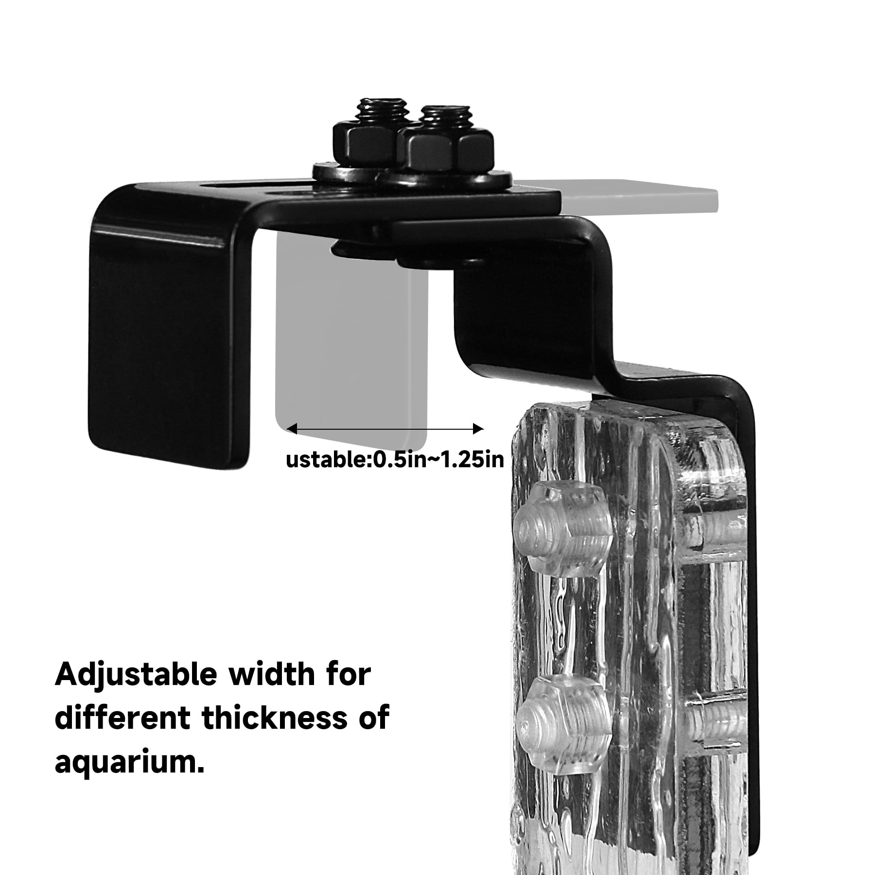Snapklik.com : Large Hanging Turtle Ramp, Acrylic Transparent Tortoise ...