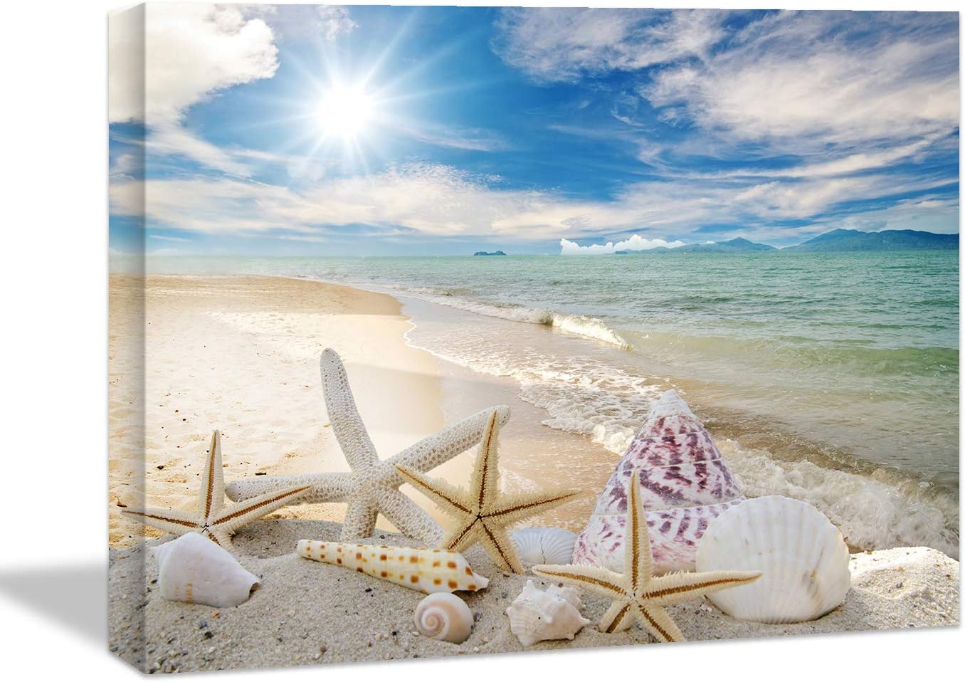 Amazon.com: Looife Ocean Theme Canvas Wall Art, 24x16 Inch Starfish and ...