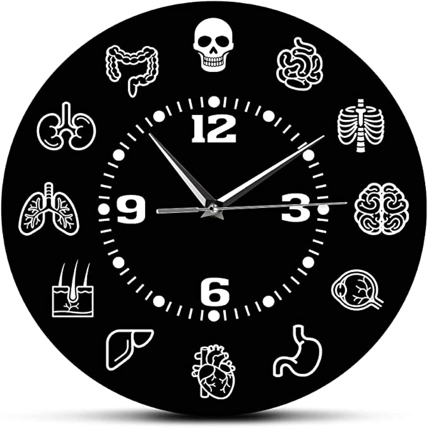 Amazon.com: 12 Inch Human Body Internal Organs Anatomy Wall Clock ...