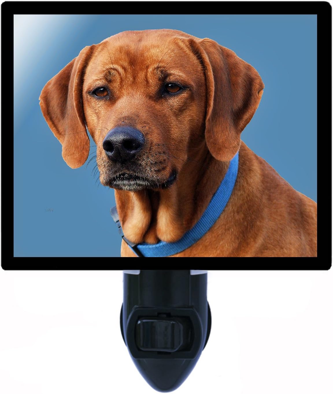 Dog Night Light, Rhodesian Ridgeback, Dogs - Amazon.com