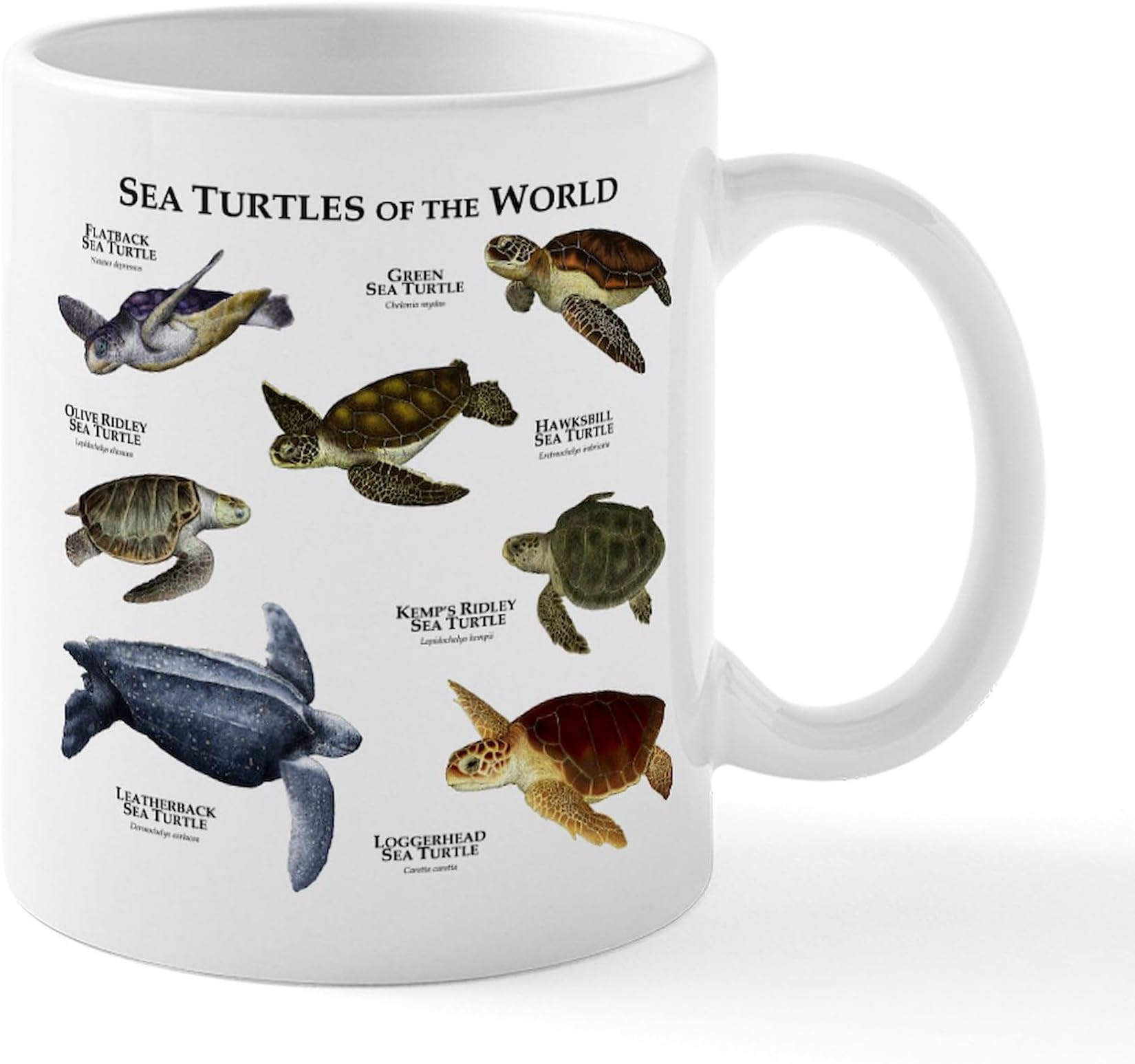 Amazon.com: One (1) MARA STONEWARE COLLECTION - 16 Oz Coffee Cup ...