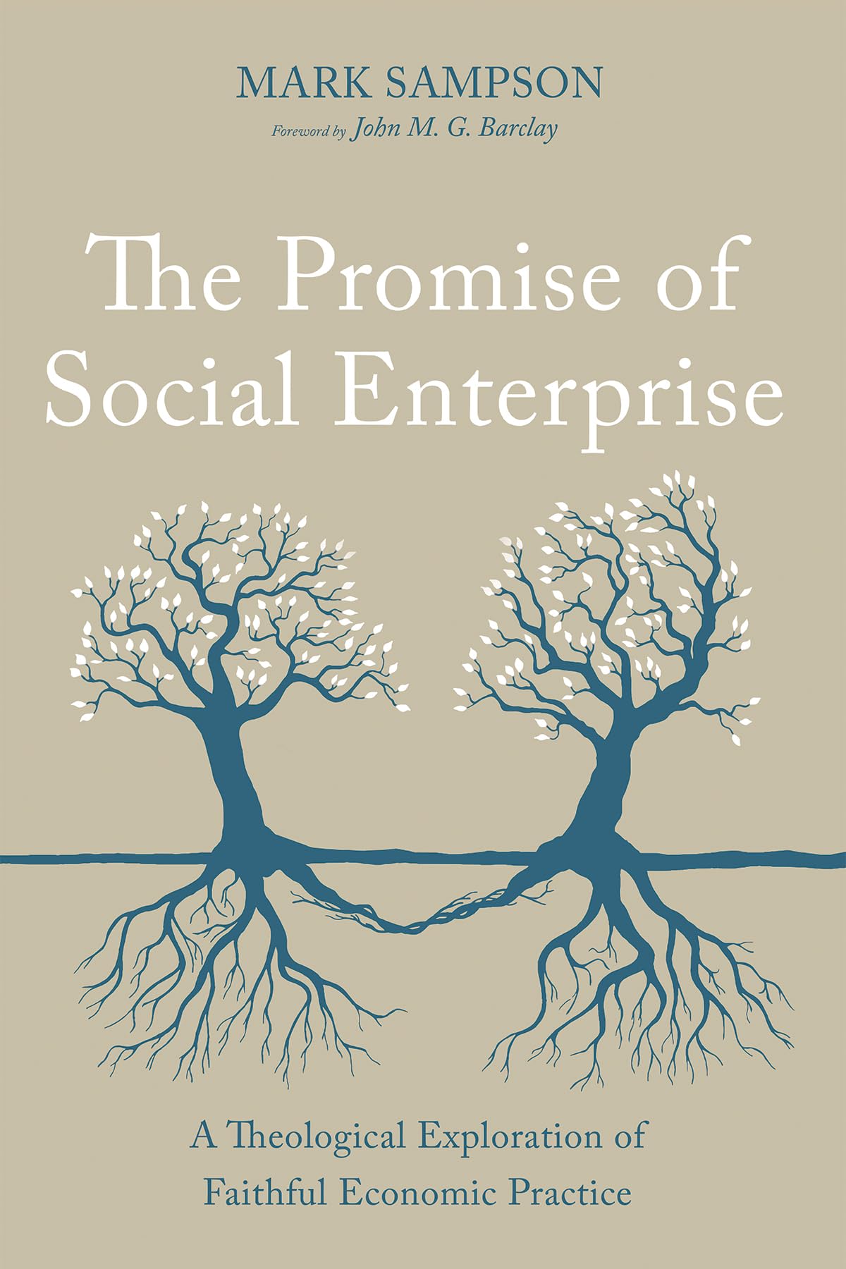 The Promise of Social Enterprise: A Theological Exploration of Faithful ...