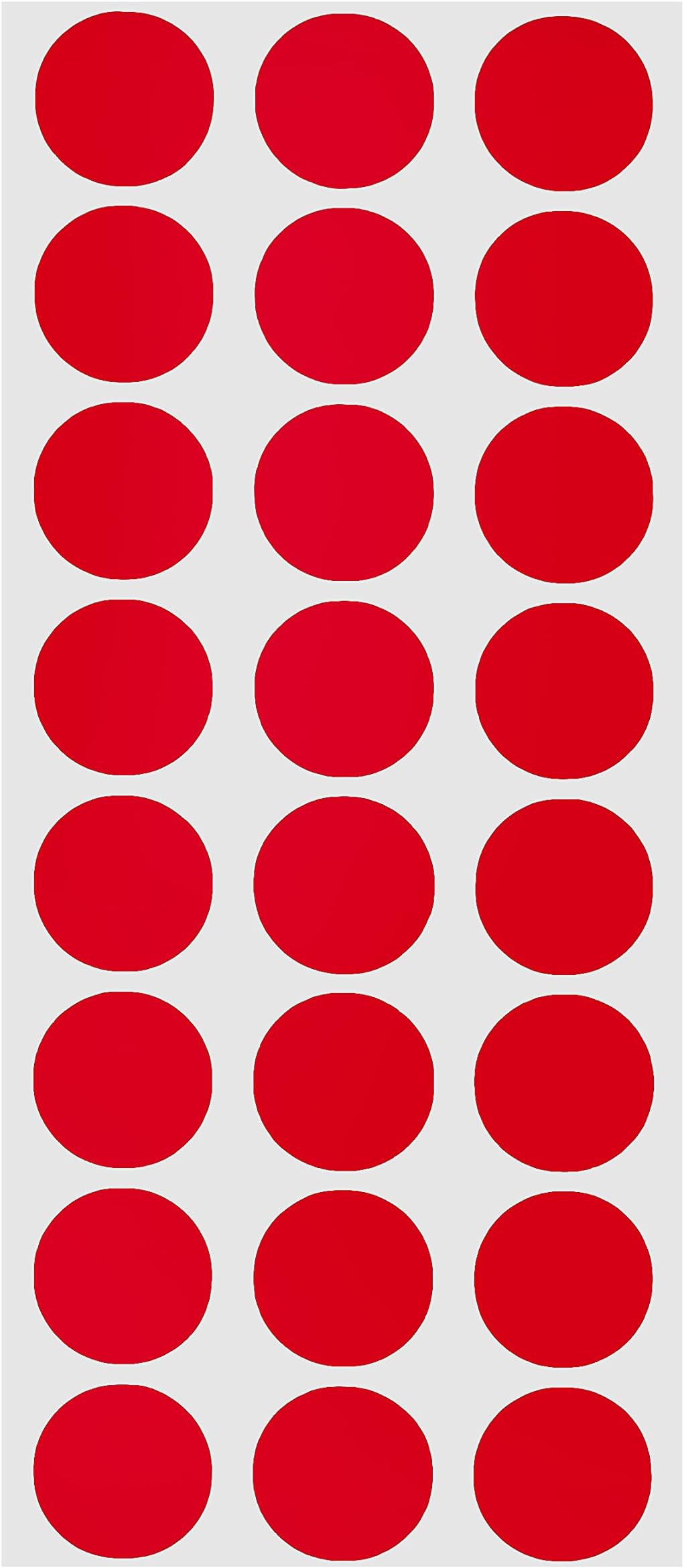 Amazon.com : 2400 Labels Month Stickers 12 Months of The Year Color ...