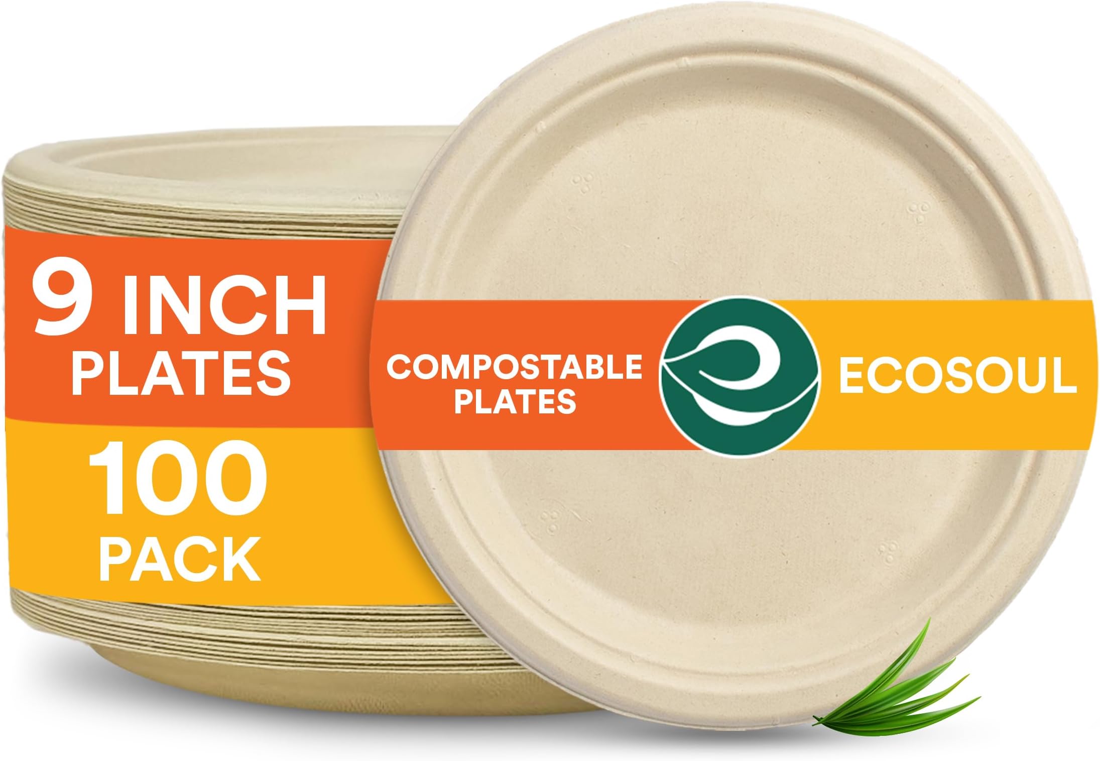 Amazon.com: 100% Compostable Paper Plates, 500 Pack 10 Inch Paper ...