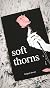 soft thorns: Amazon.co.uk: devoue, bridgett: 9781546754664: Books