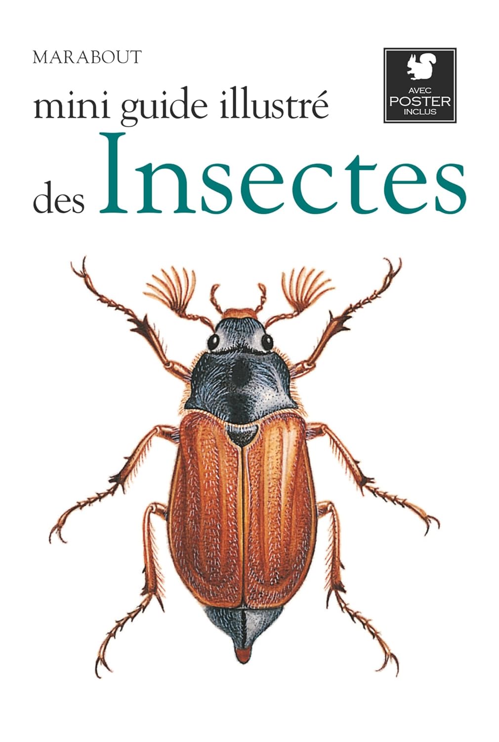 MINI GUIDE ILLUSTRÉ DES INSECTES : COLLECTIF: Amazon.ca: Books