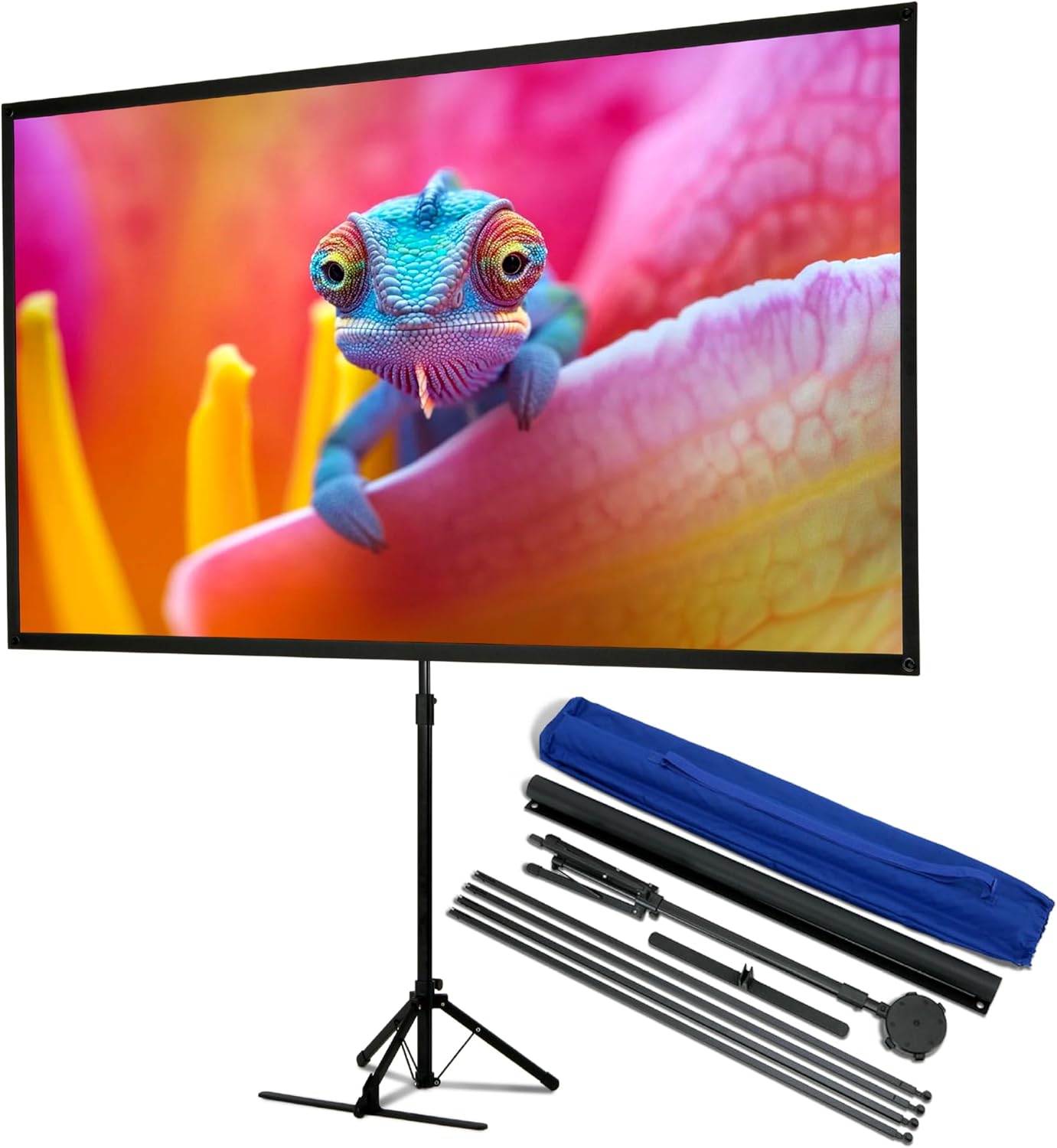 Epson ELPSC21B 80 Inch Portable Tripod Screen, White, V12H002S2Y ...