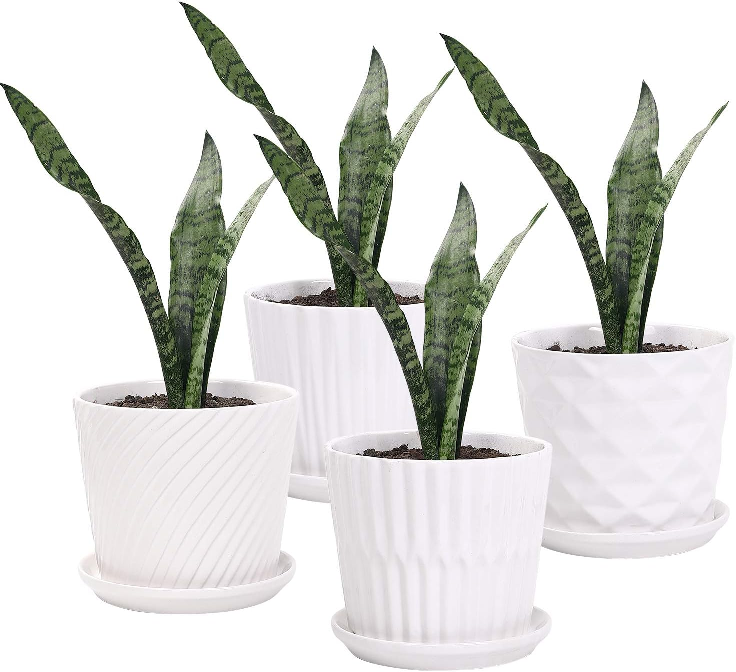 Amazon.com: Plant pots - 5.5-inch Cylindrical Ceramic Planters with ...
