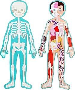 Amazon.com: 3 ft Large Magnetic Human Body Puzzle for Kids - Double ...
