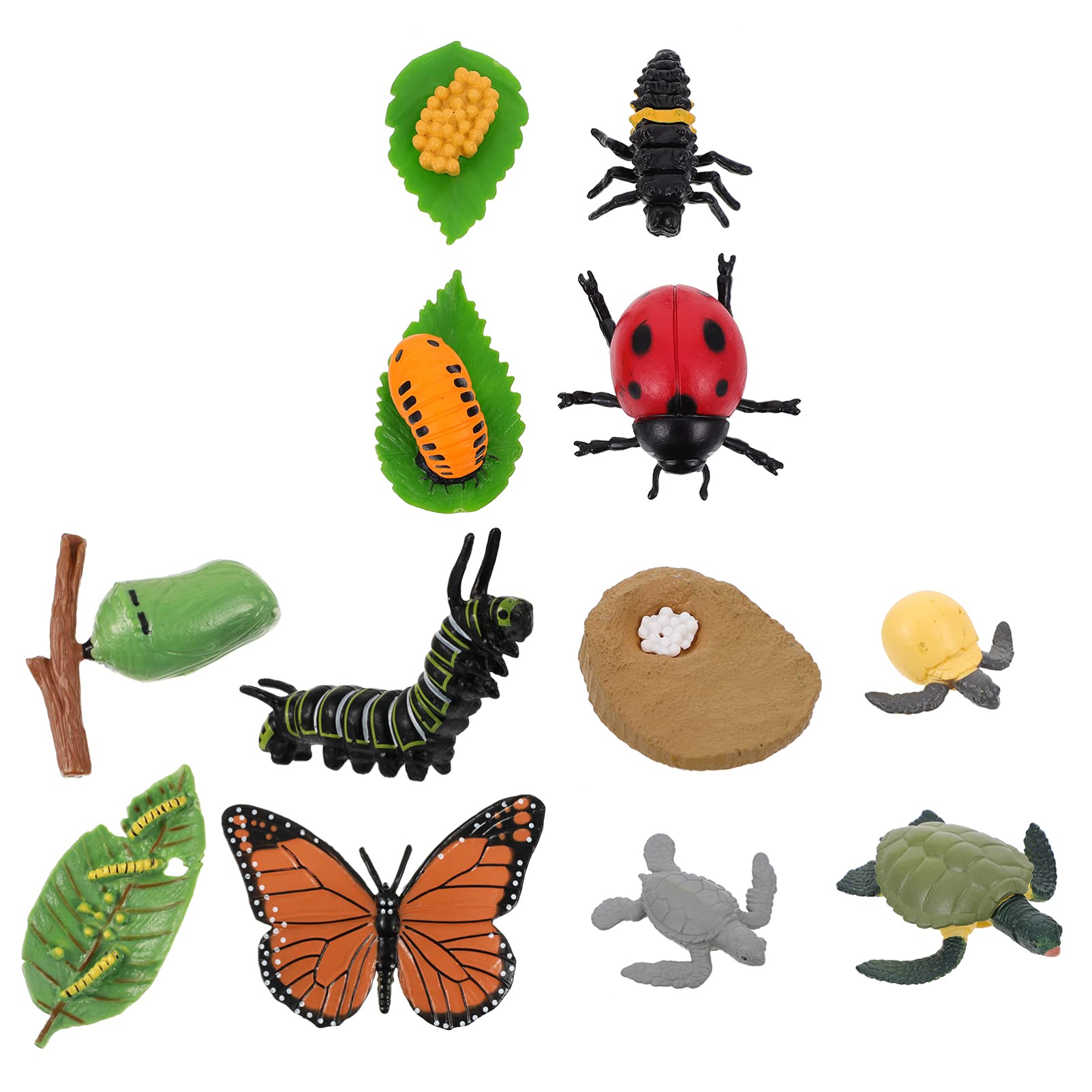Doitool Realistic Insect Figurines Life Cycle Of Caterpillars To ...
