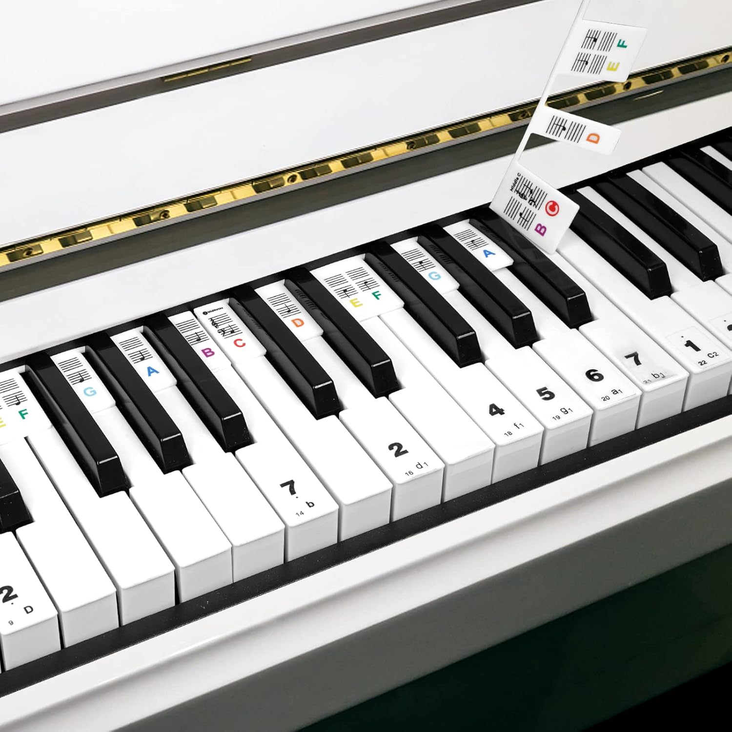 Amazon.com: Piano Notes Guide for Beginner - Removable Piano Keyboard ...