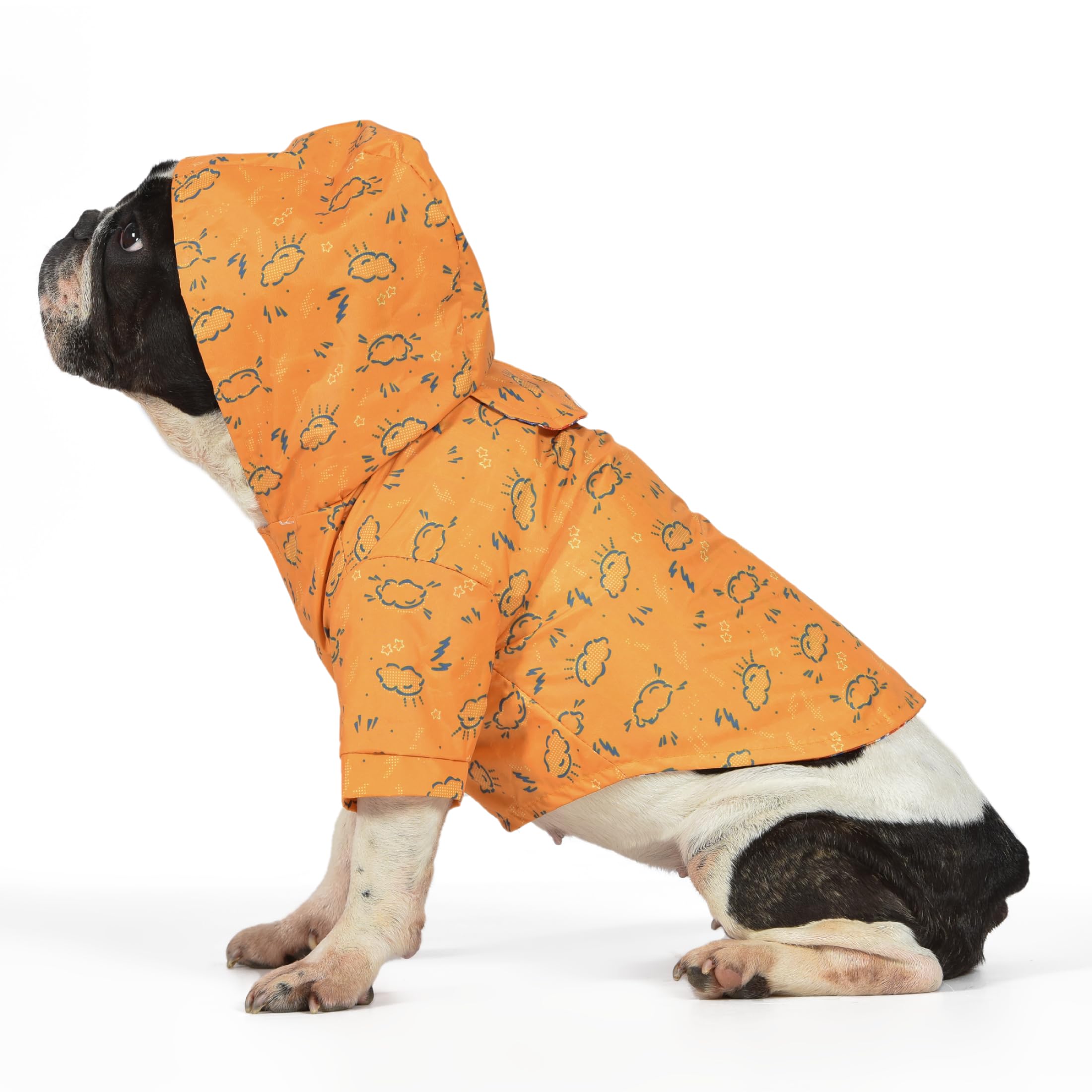 Amazon.com : The Dodo Rainy Days Printed Raincoat for Dogs, Orange ...
