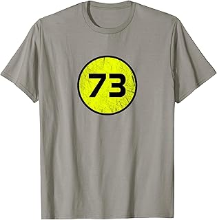 Sheldon's Favorite Number: The Significance Of 73 | ShunVogue